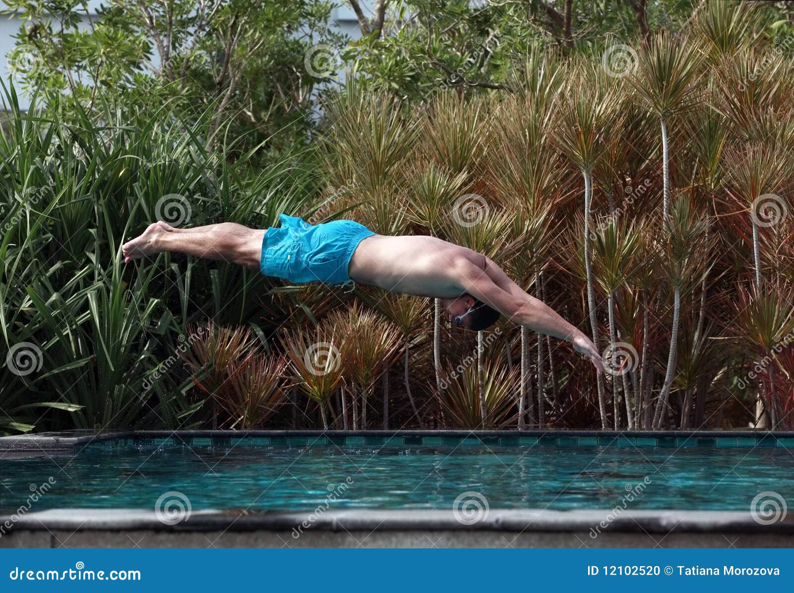 Man dive stock photo. Image of swim, people, season, exercise - 12102520