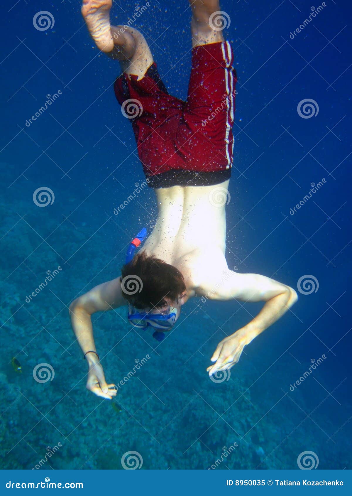 Man dive in deep stock image. Image of vacation, nature - 8950035