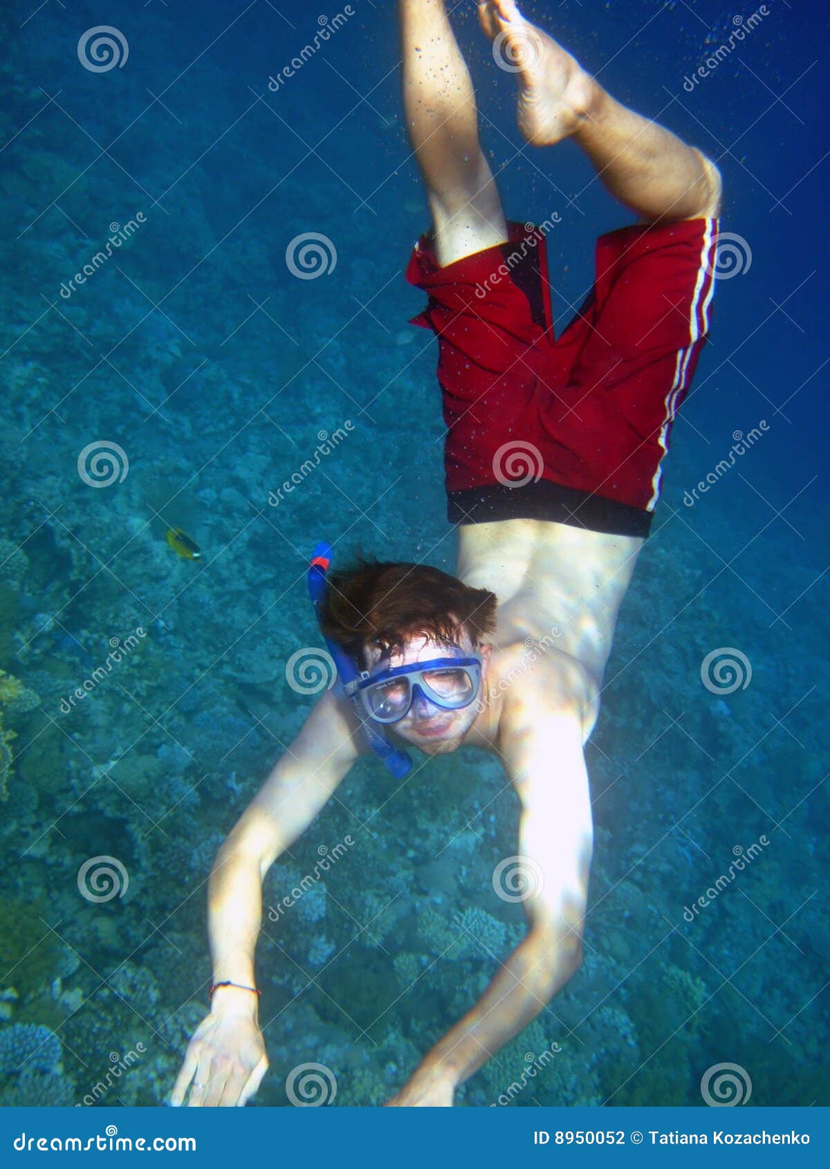 Man dive in deep blue stock photo. Image of holidays, mediterranean ...