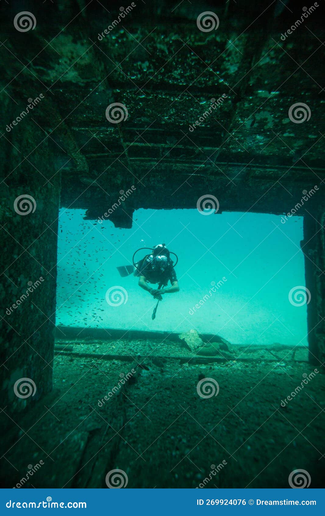Man Diving in Deep Blue Indian Ocean Stock Photo - Image of indian ...