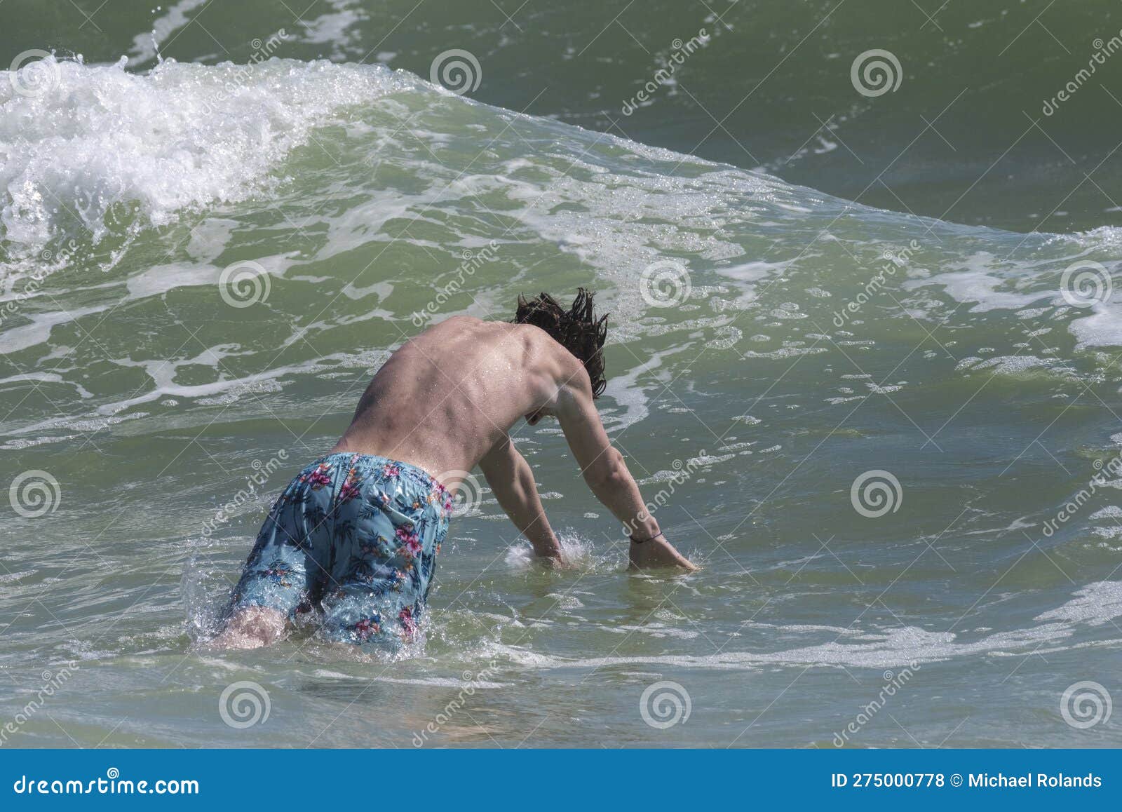 Man Diving into the Surf editorial stock photo. Image of coast - 275000778