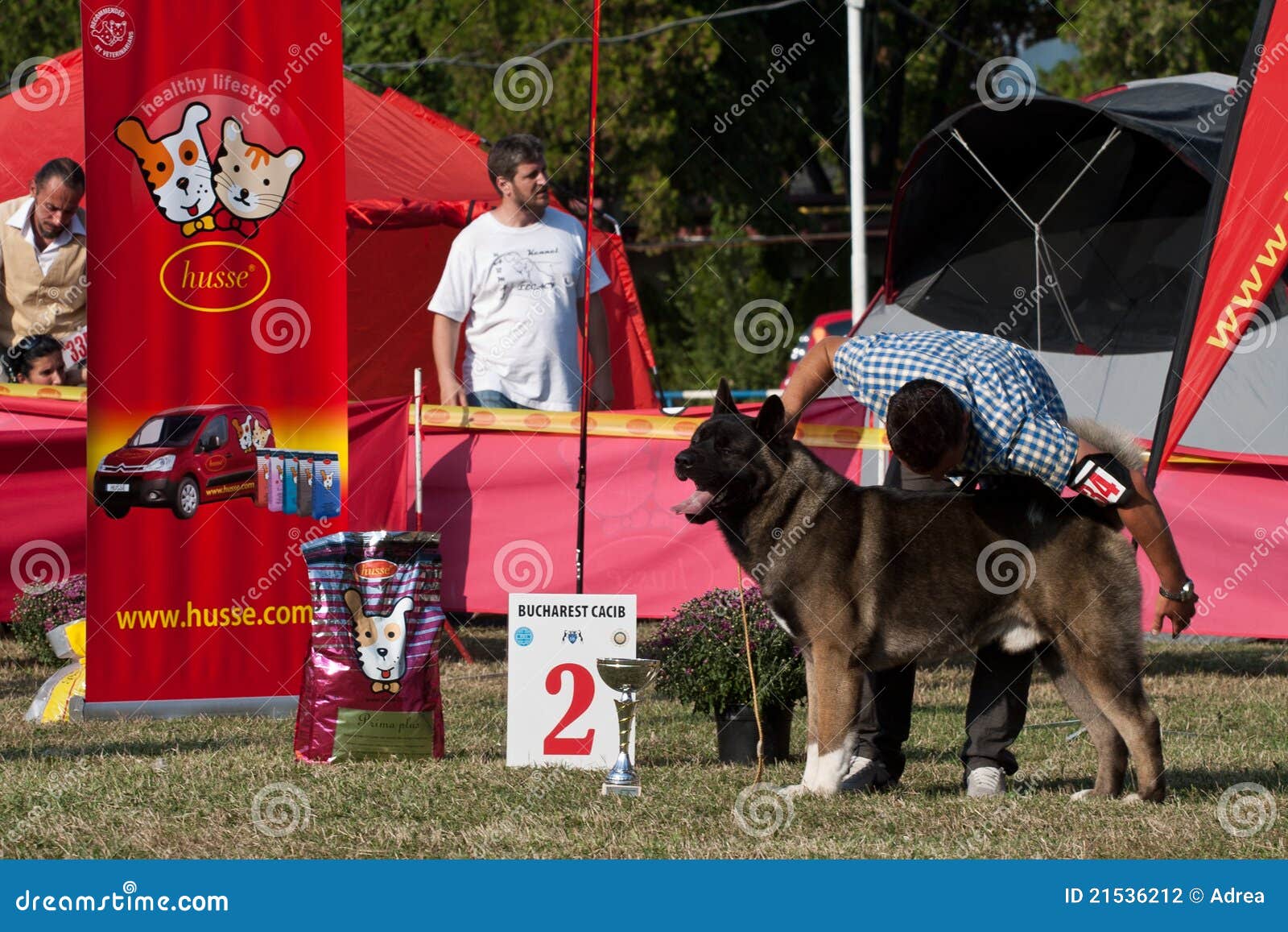 Second Place on a Dog Contest Editorial Photography - Image of ...