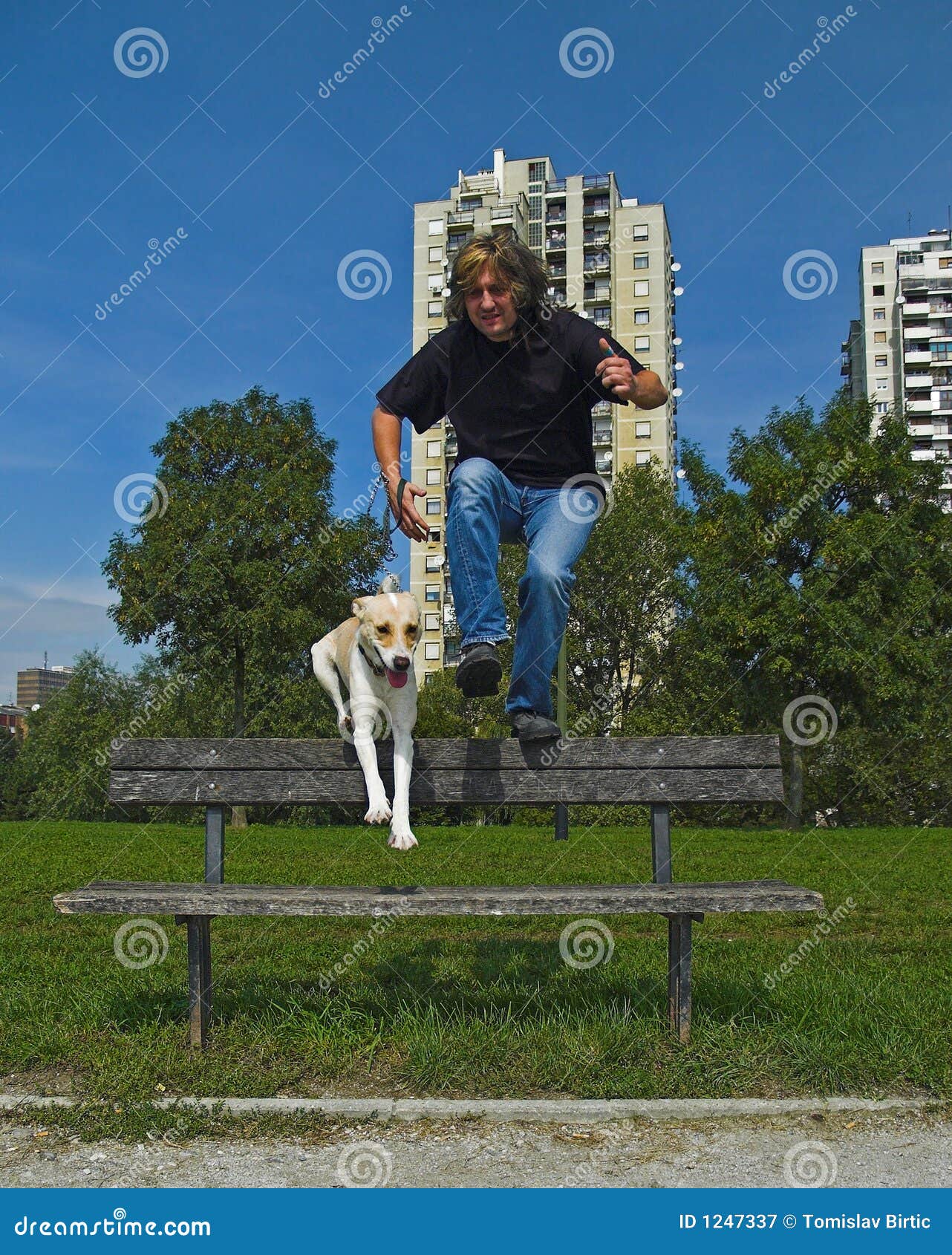 Man and Dog Jumping Over the Bench Stock Image - Image of park, jump ...