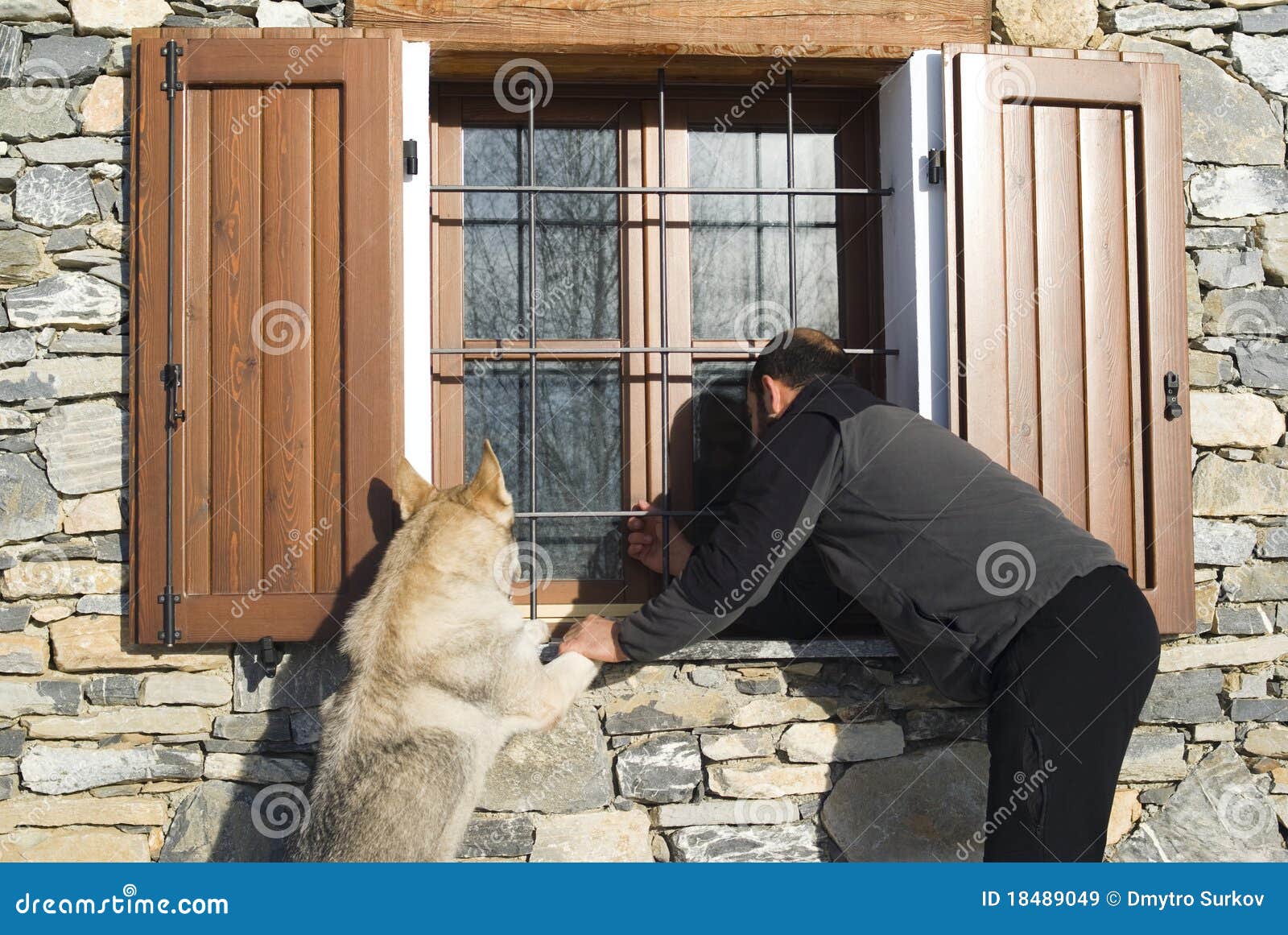 Wolf Outside Window Stock Photos - Free & Royalty-Free Stock Photos ...