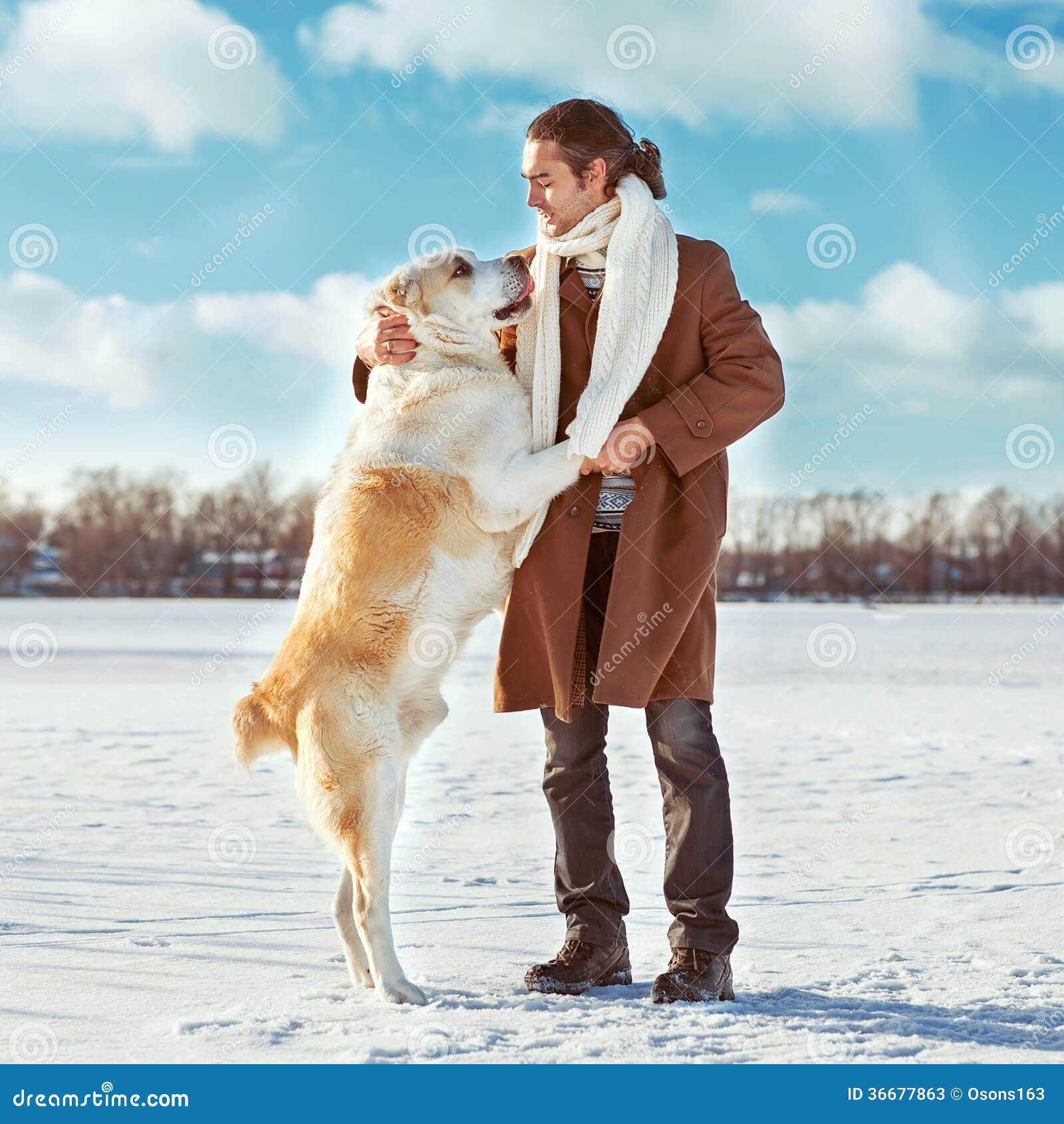 Man and dog outdoors stock image. Image of friendship - 36677863