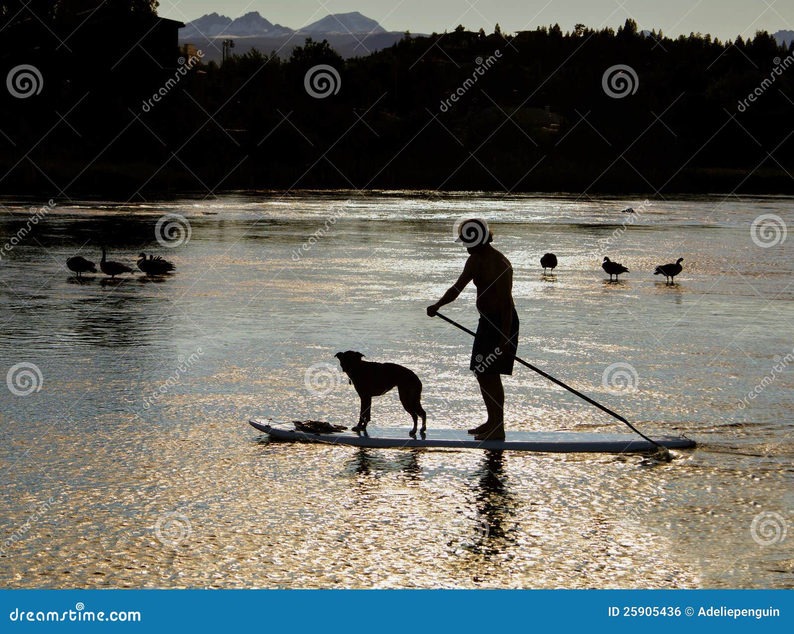 Man, Dog on Paddle Board, Oregon Stock Photo - Image of waterway, water ...