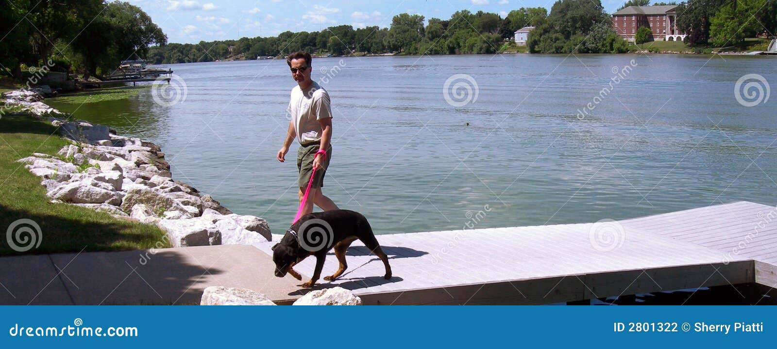 Man and Dog on River Docks stock photo. Image of stream - 2801322