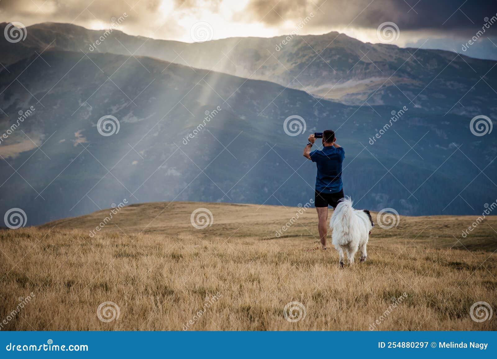 Man and Dog Trekking in High Mountains Stock Image - Image of person ...