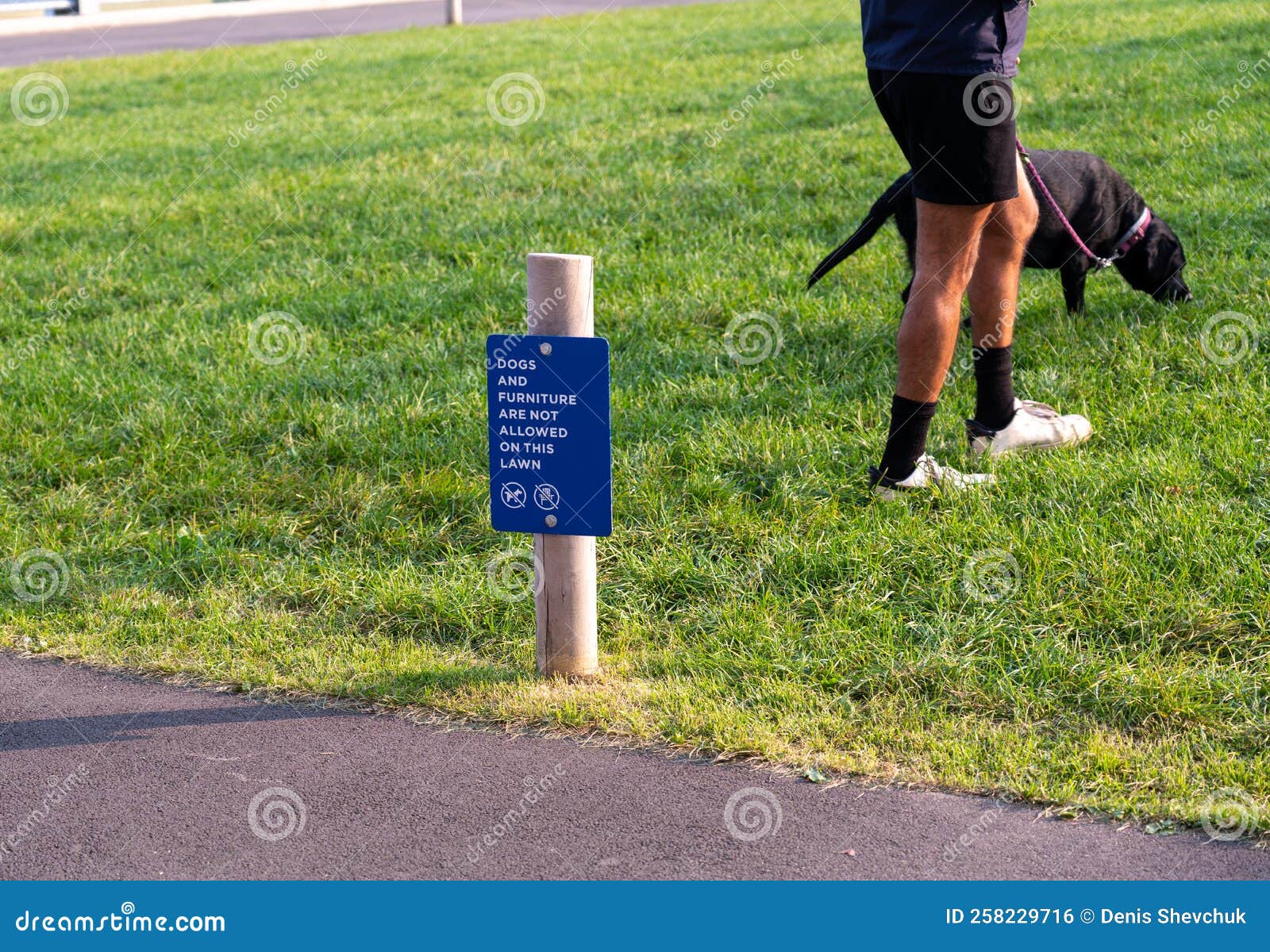A Man with a Dog Violates the Ban on Walking Dogs in a New York Park ... A Man with a Dog Violates the Ban on Walking Dogs in a New York Park ...