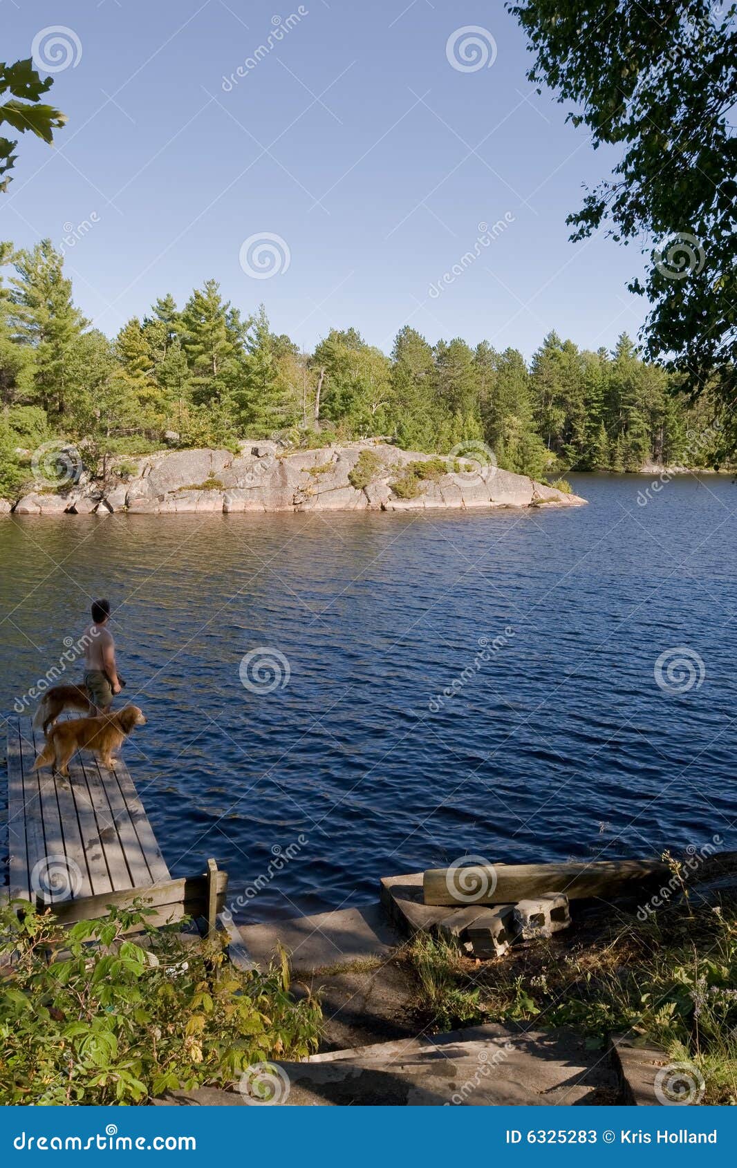 Man, Dogs on dock stock image. Image of familiaris, wood - 6325283