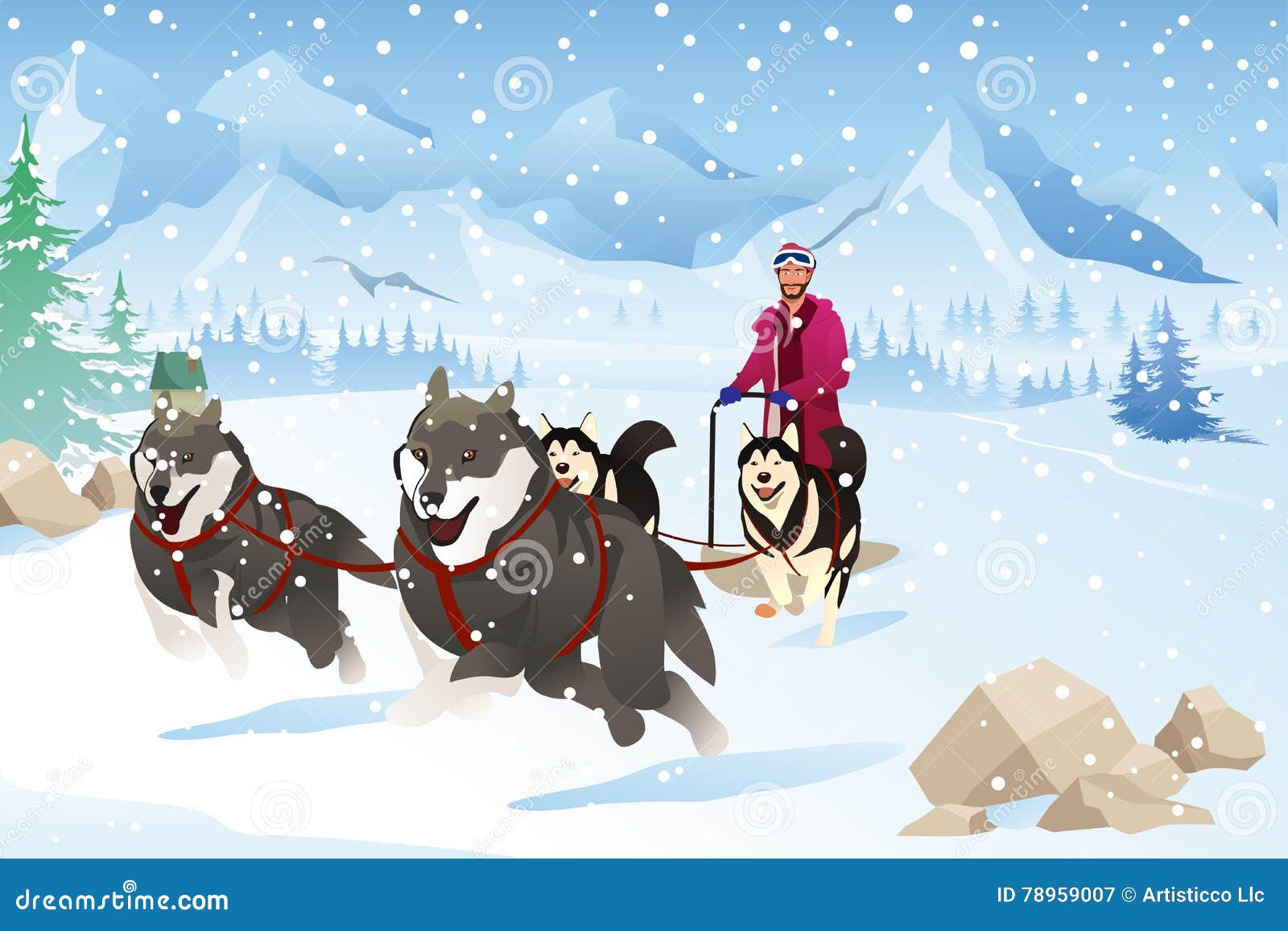 Man with Dogs Sledding in the Snow during Winter Stock Vector ...
