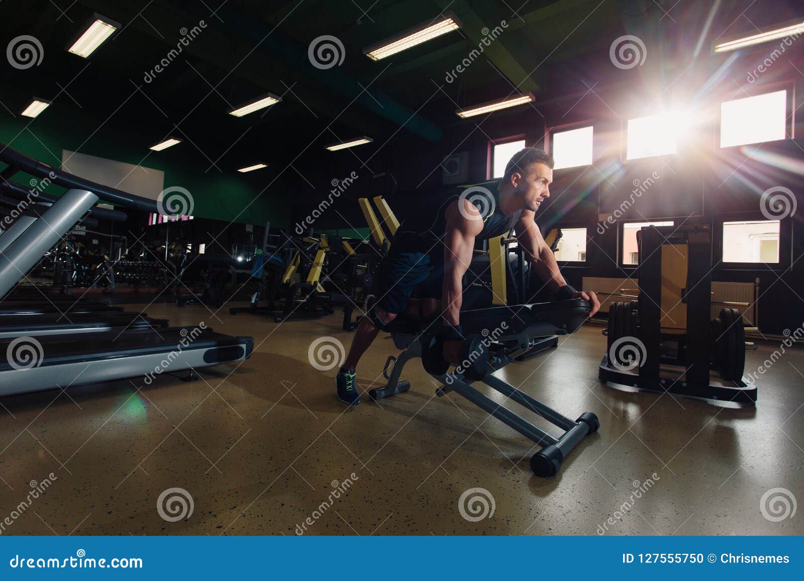 Man Doing Back Training in the Gym Stock Photo - Image of strength ...