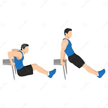 Man Doing Bench Tricep Dips Flat Vector Stock Vector - Illustration of ...