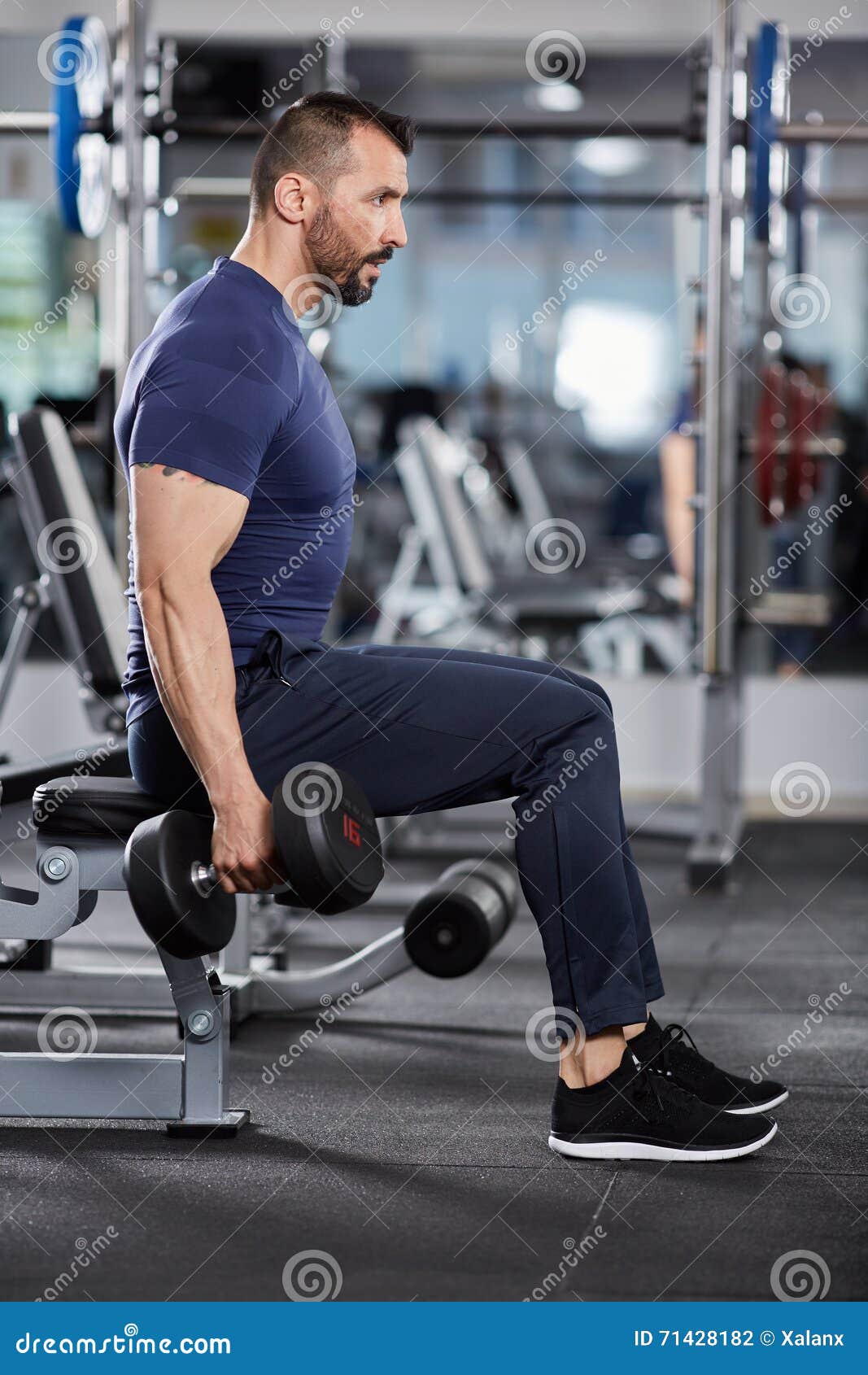 Man Doing Biceps Curl Seated Stock Photo - Image of active, athlete ...