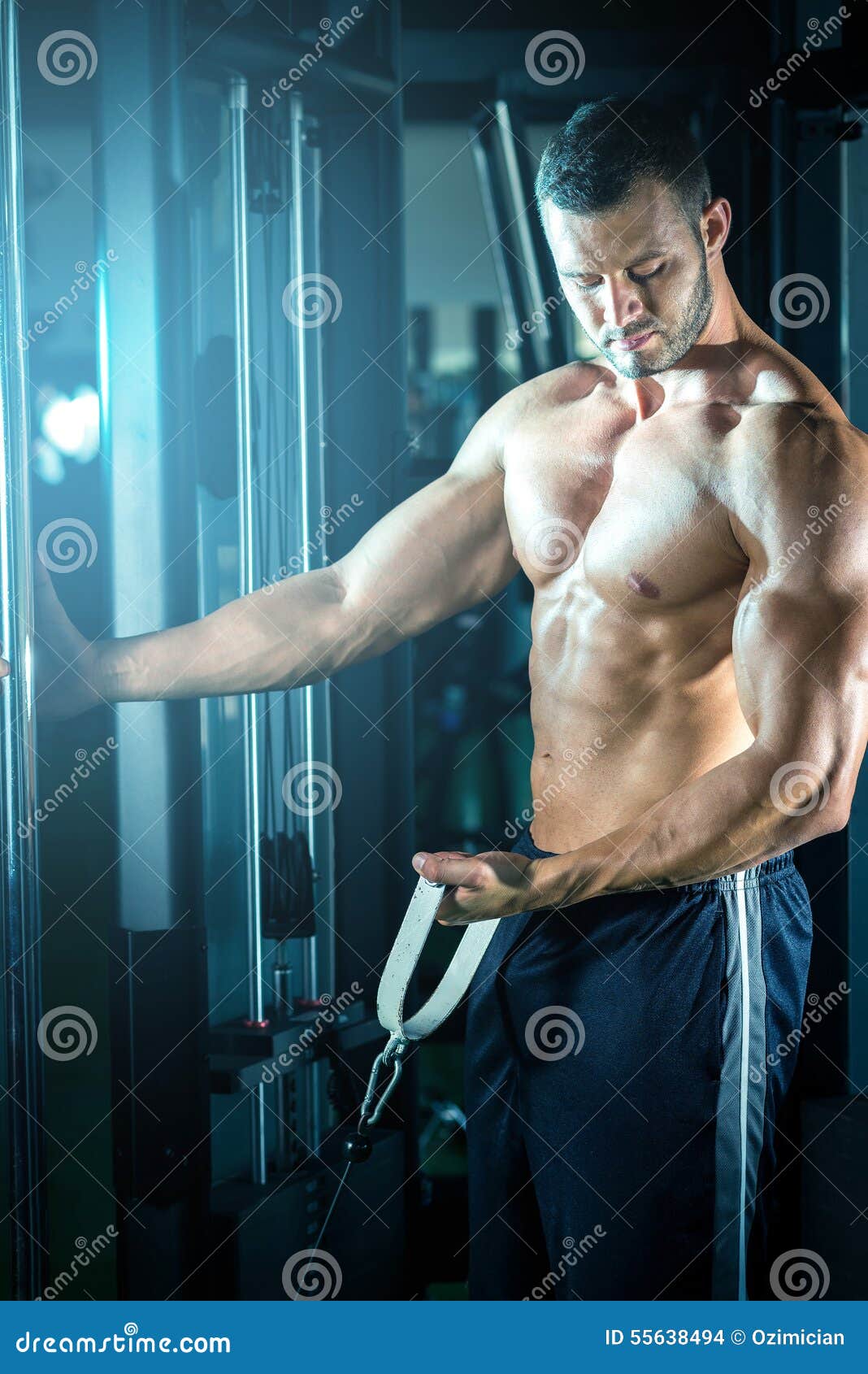 Man doing cable fly in gym stock photo. Image of muscle - 55638494
