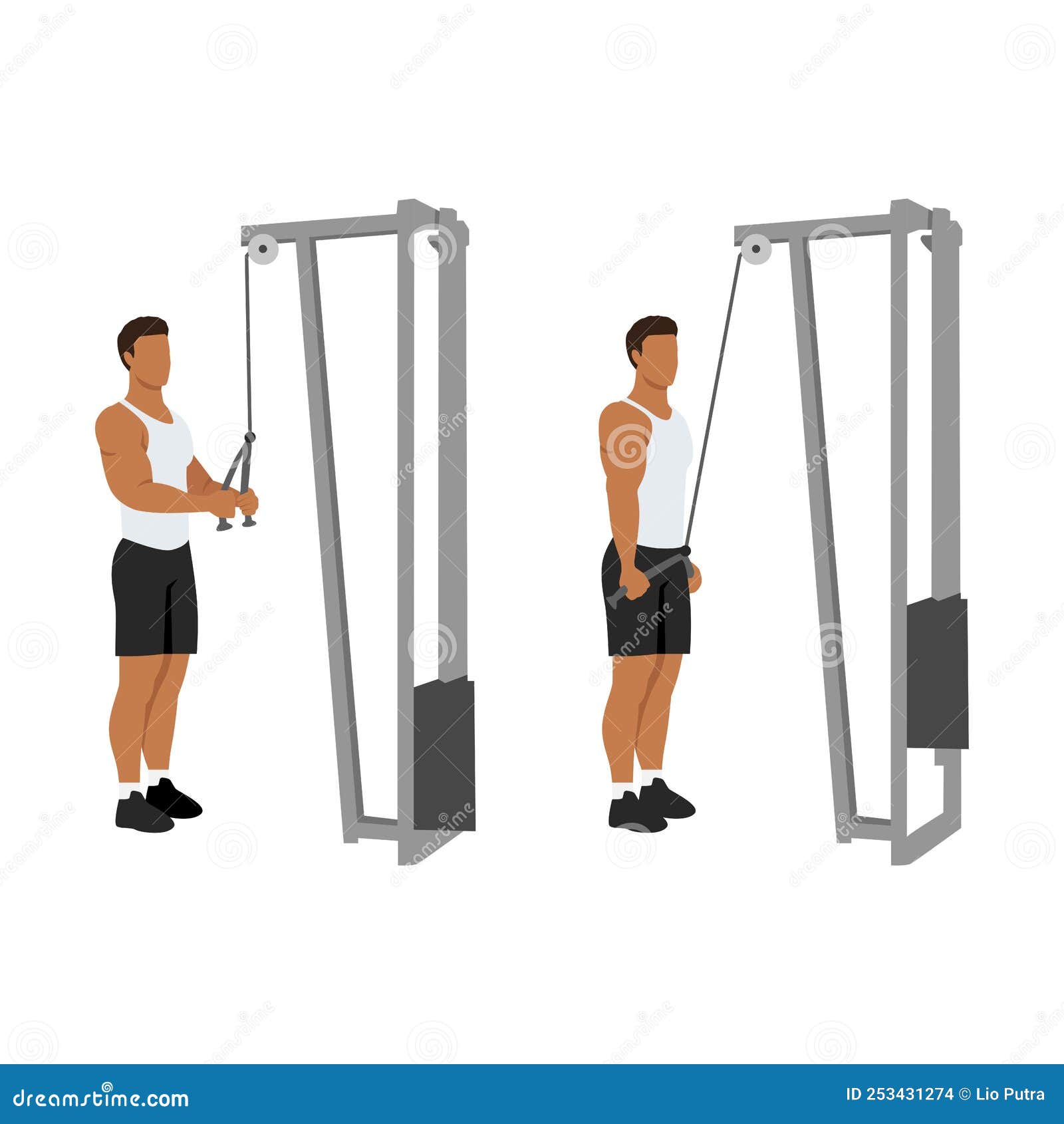 Tricep Pulldowns With Rope