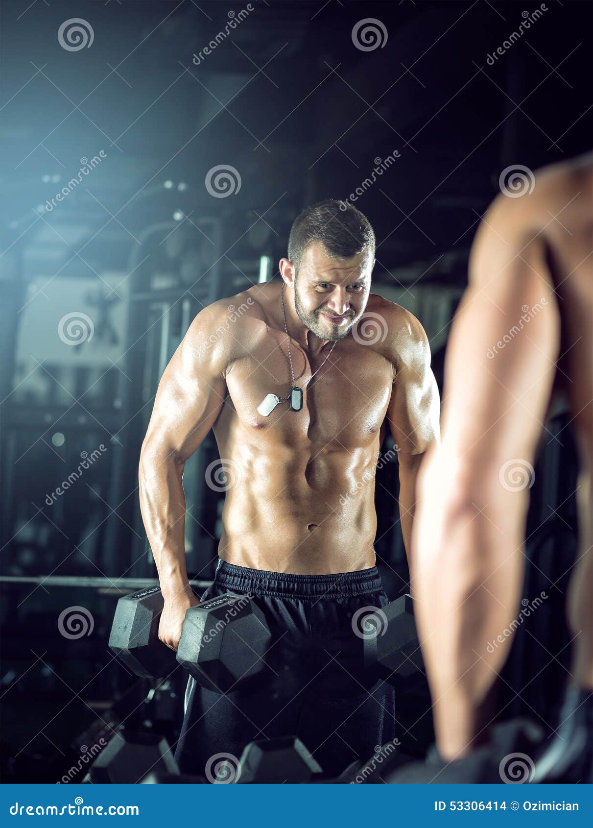 Man doing curls in gym stock photo. Image of body, biceps - 53306414