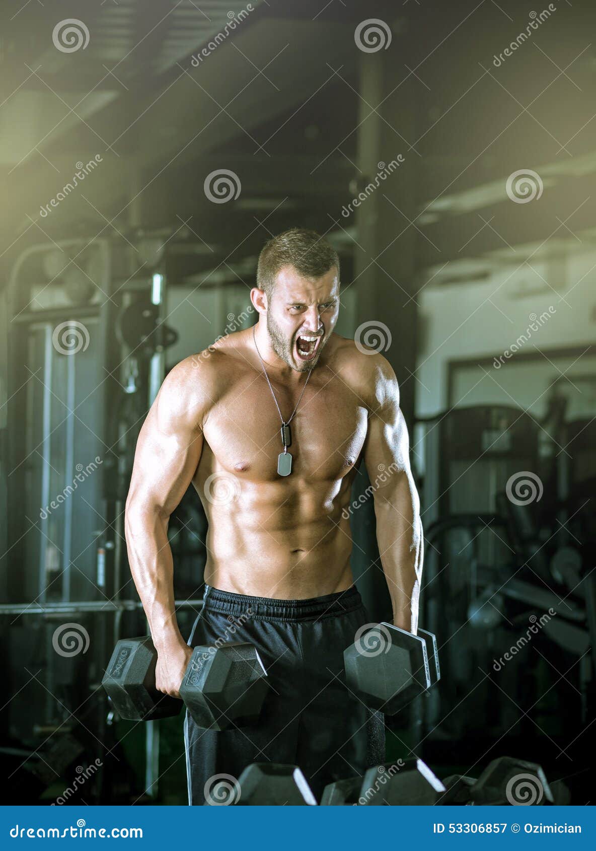 Man doing curls in gym stock image. Image of lifestyle - 53306857