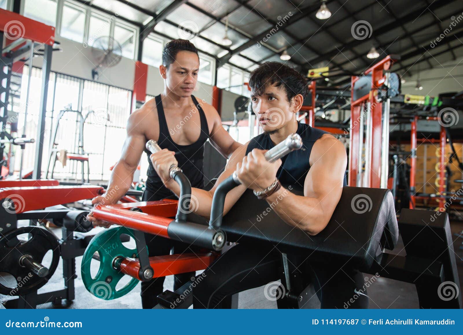 Man Doing Exercise for Biceps with Trainer Stock Image - Image of ...
