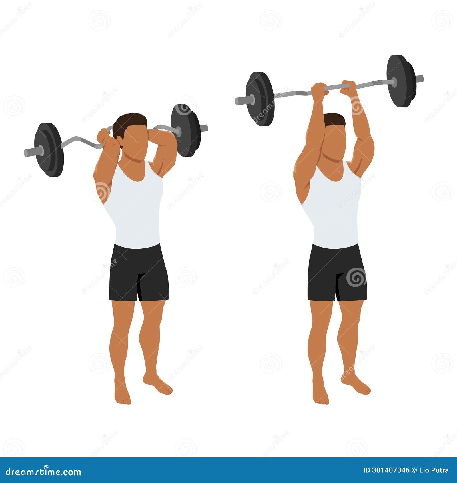 Tricep Muscles Anatomy. Medial, Long, And Lateral Head Of Triceps ...