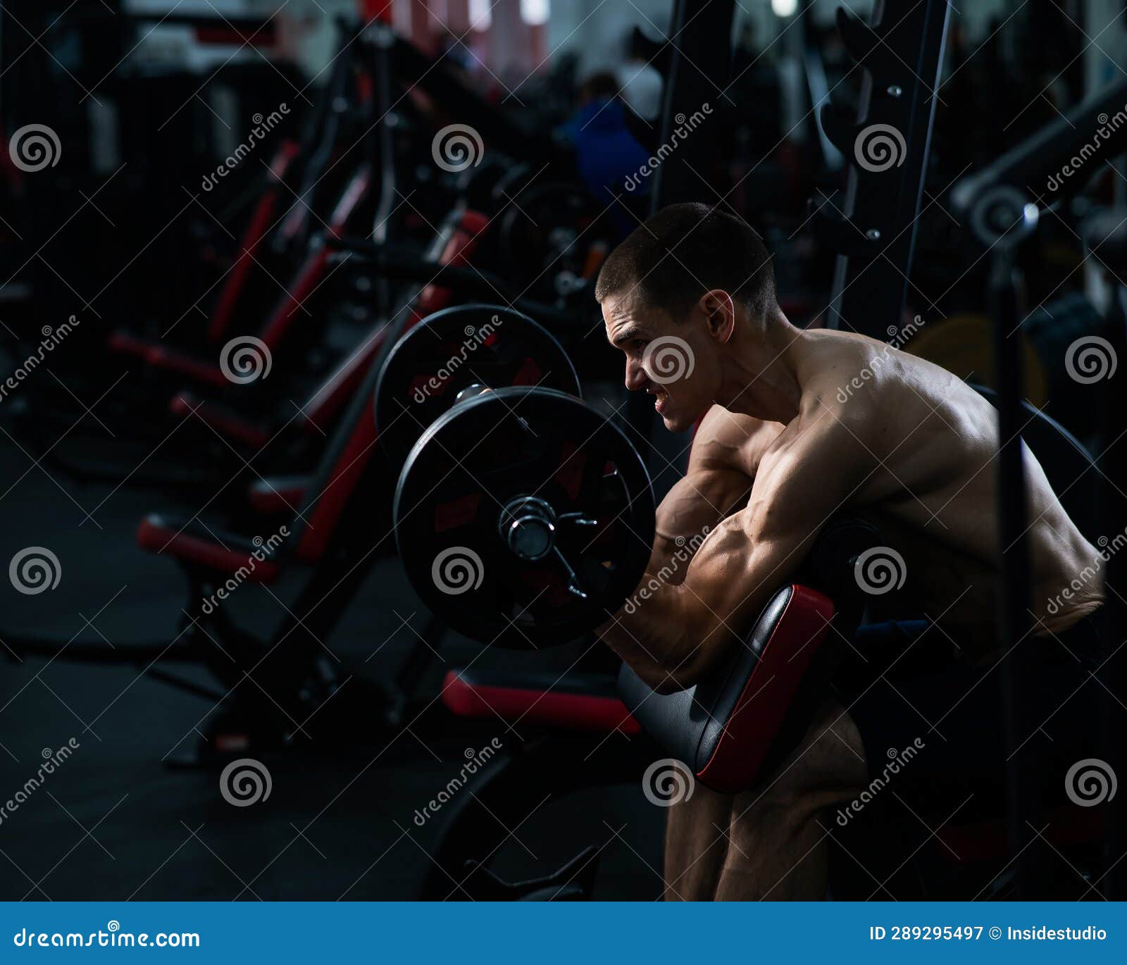 Man Doing EZ Barbell Bicep Exercises on Scott Bench. Stock Image ...