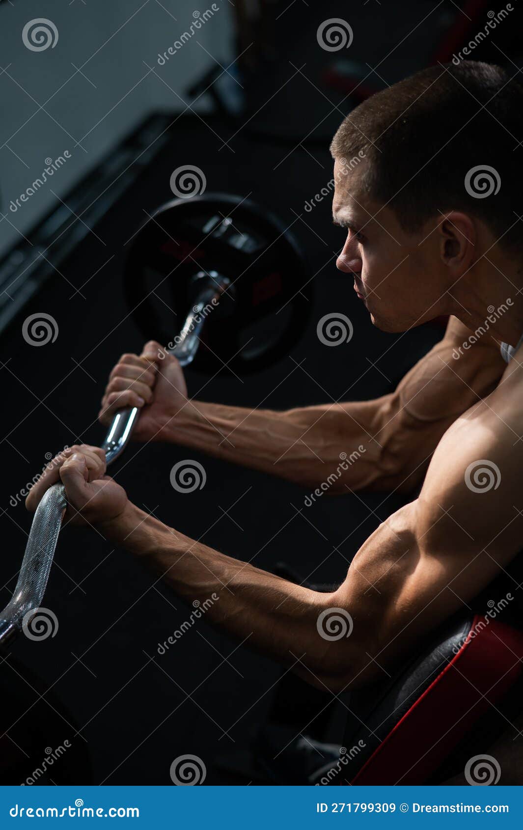 Man Doing Ez Barbell Bicep Exercises On Scott Bench Stock Image