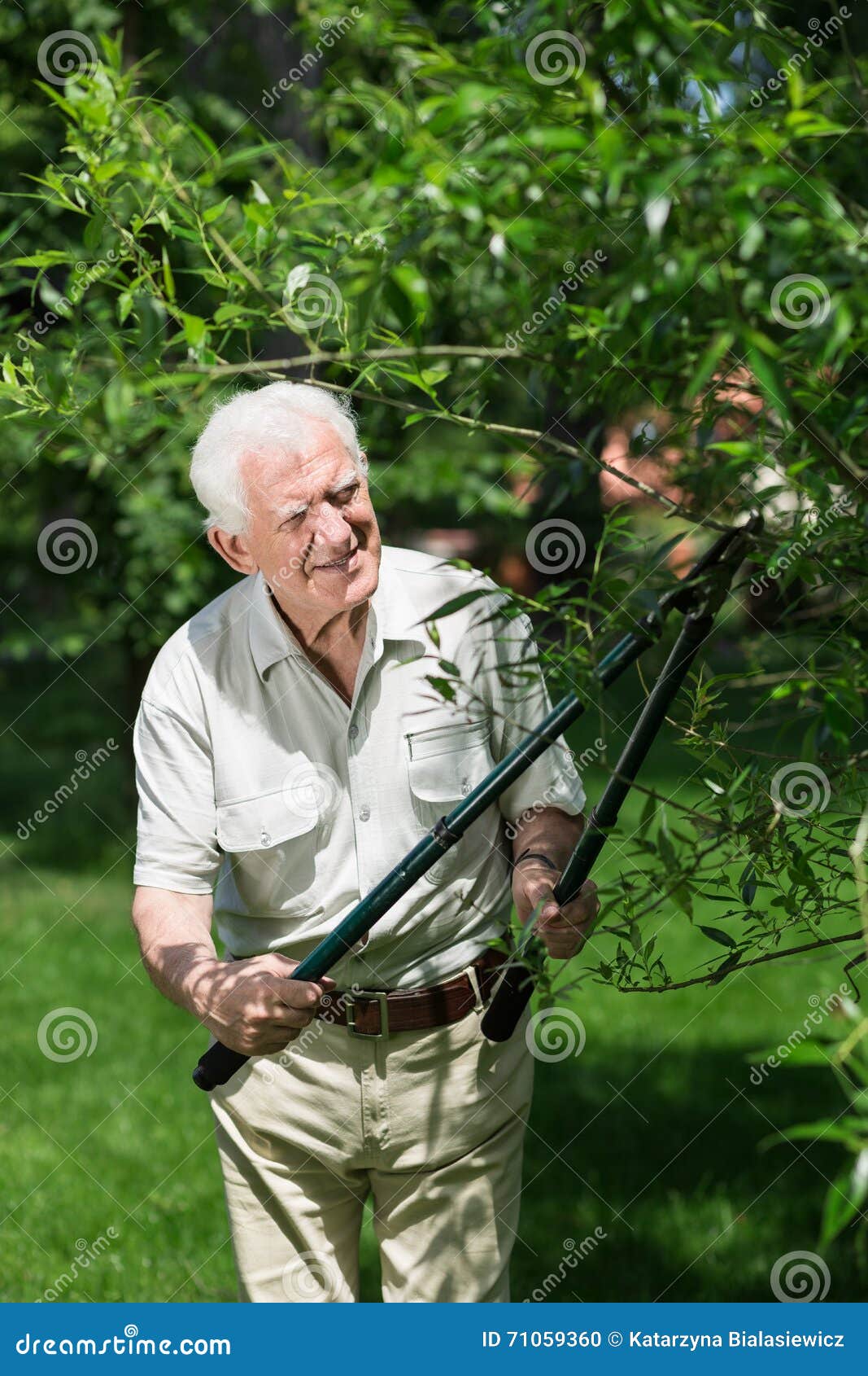 Man doing garden work stock photo. Image of senior, green - 71059360