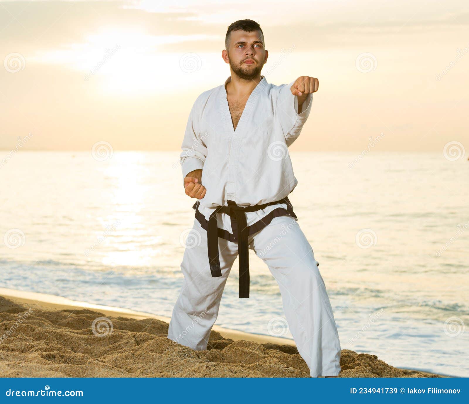 Man doing karate poses stock image. Image of healthy - 234941739
