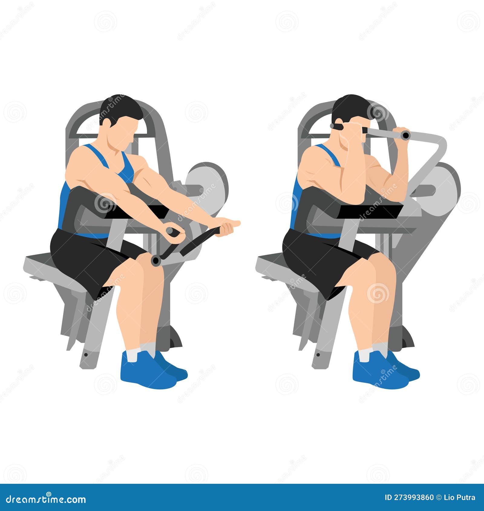 Man Doing Machine Bicep Preacher Or Concentration Curls Arm Biceps