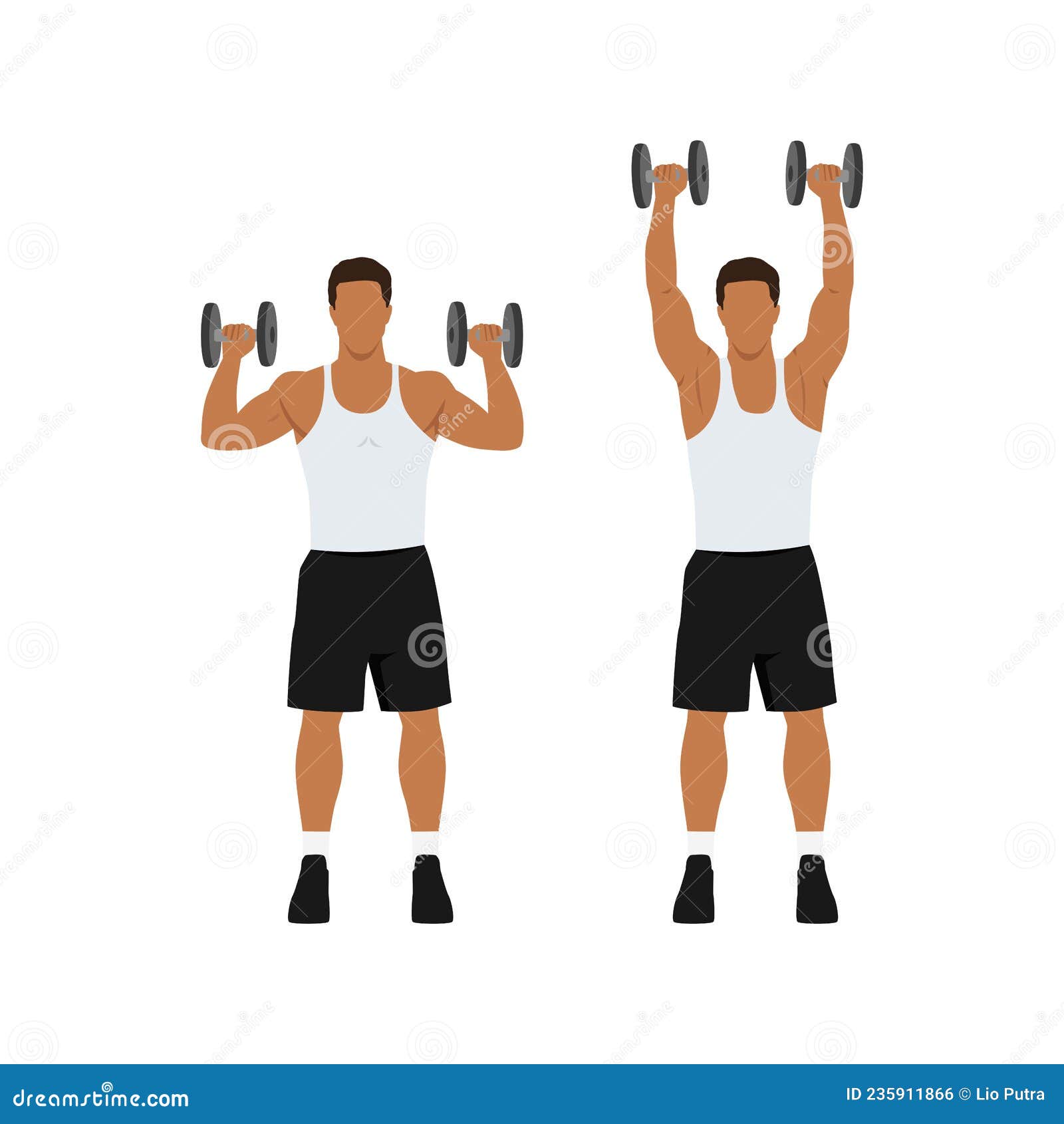 Dumbbell Shoulder Shrug Exercise Strength Workout Illustration Outline ...
