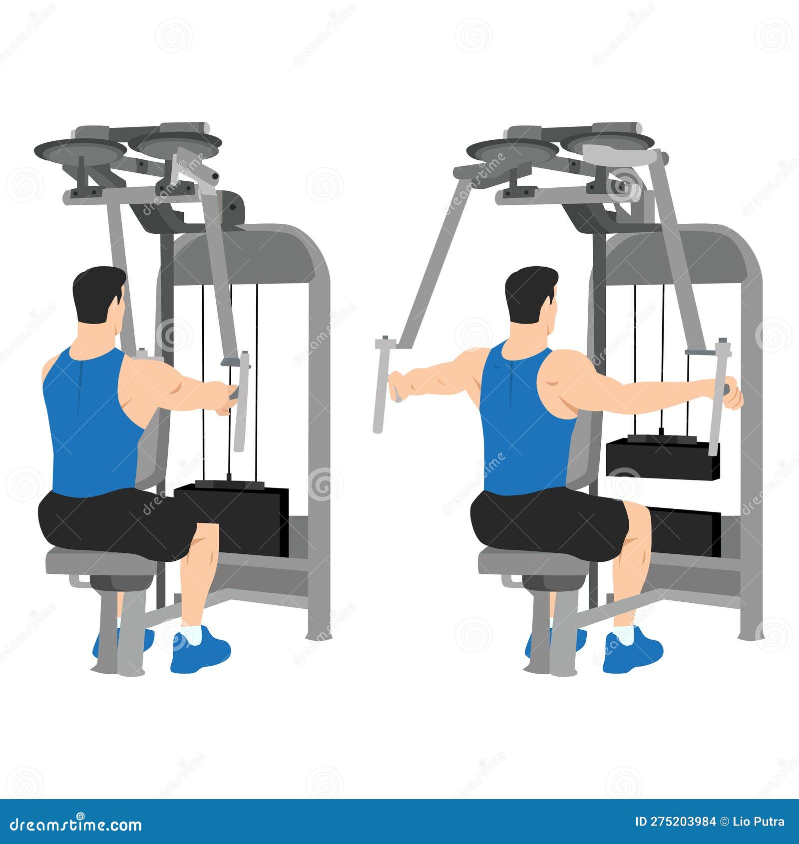 Man Doing Rear Delt Machine Flyes Exercise Stock Vector - Illustration ...
