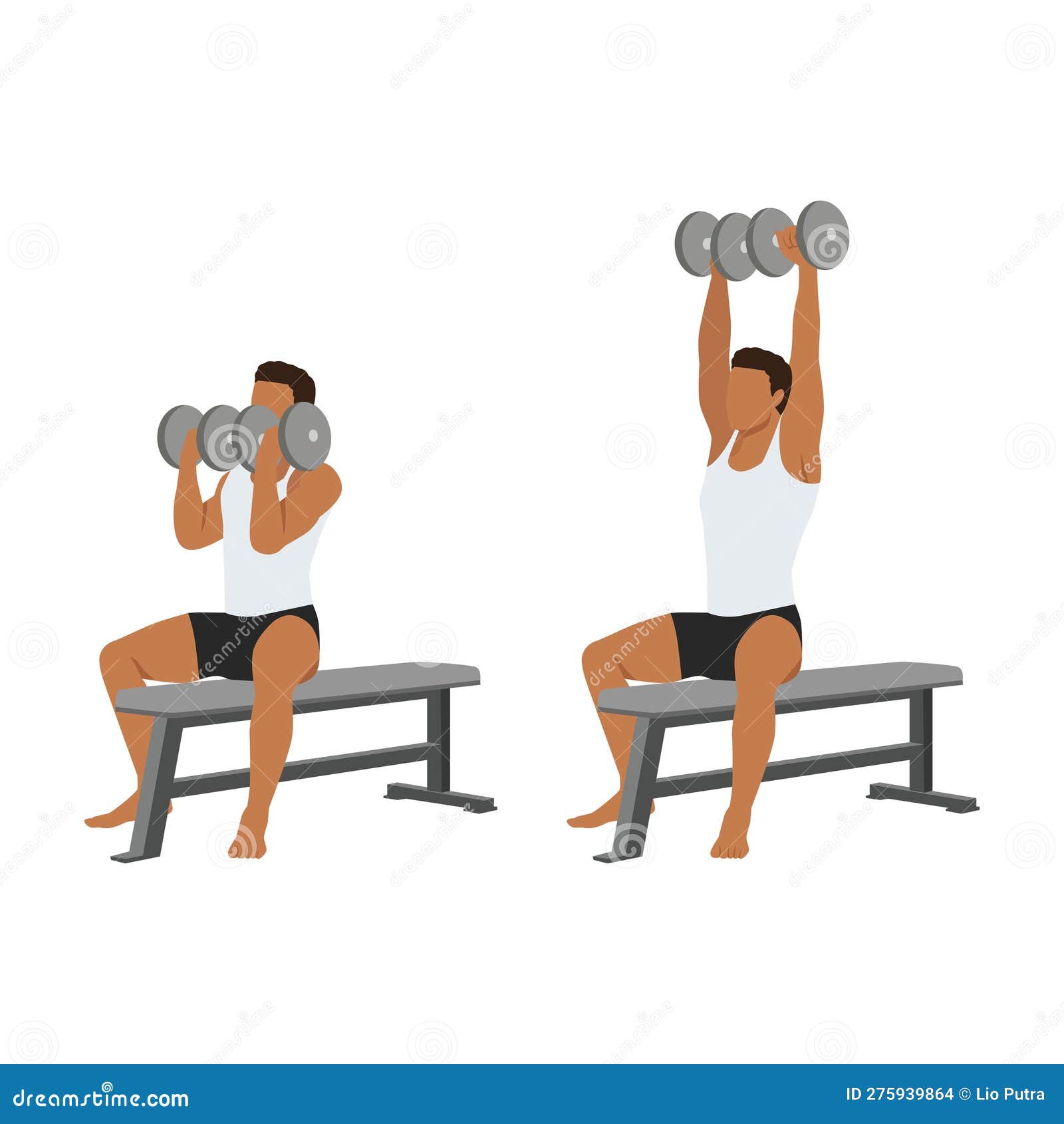 Man Doing Seated Arnold Press on a Bench Exercise. Flat Vector Stock ...