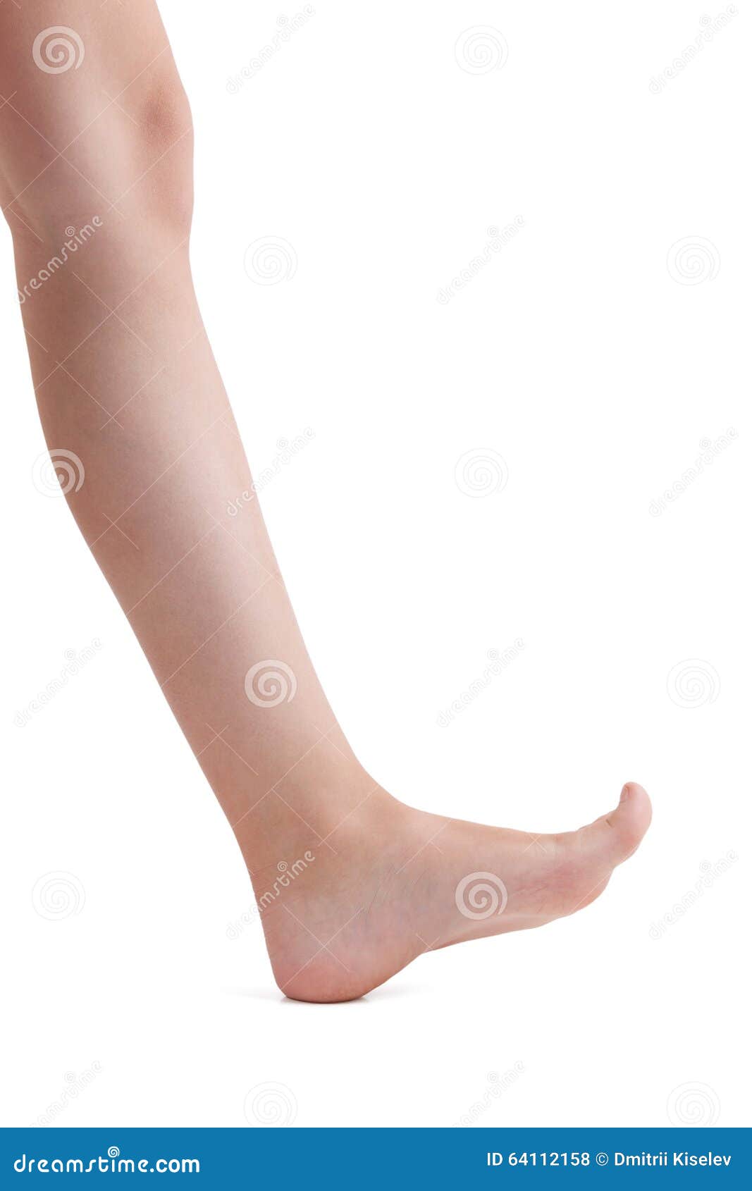 Step By Foot With Big Bone On Toy Royalty-Free Stock Image ...