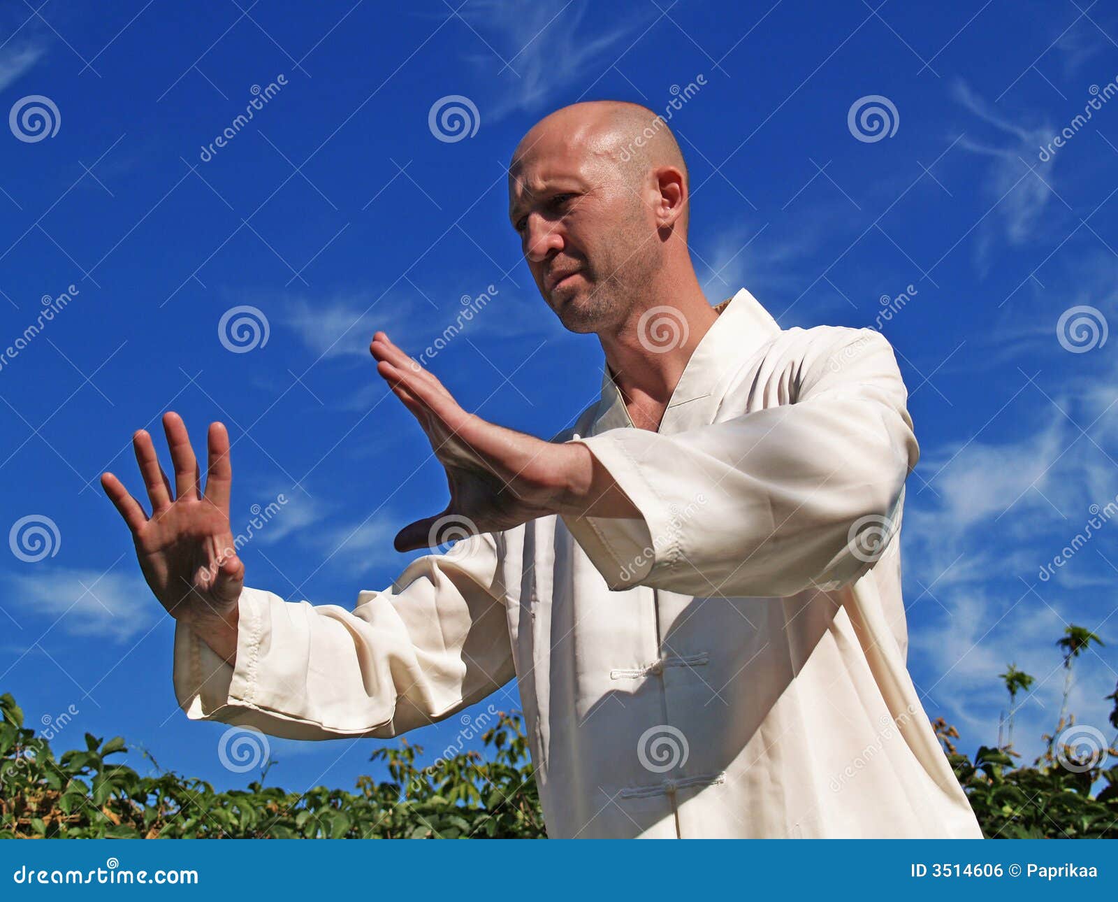 Man Doing Tai Chi 2 stock photo. Image of chinese, mental - 3514606