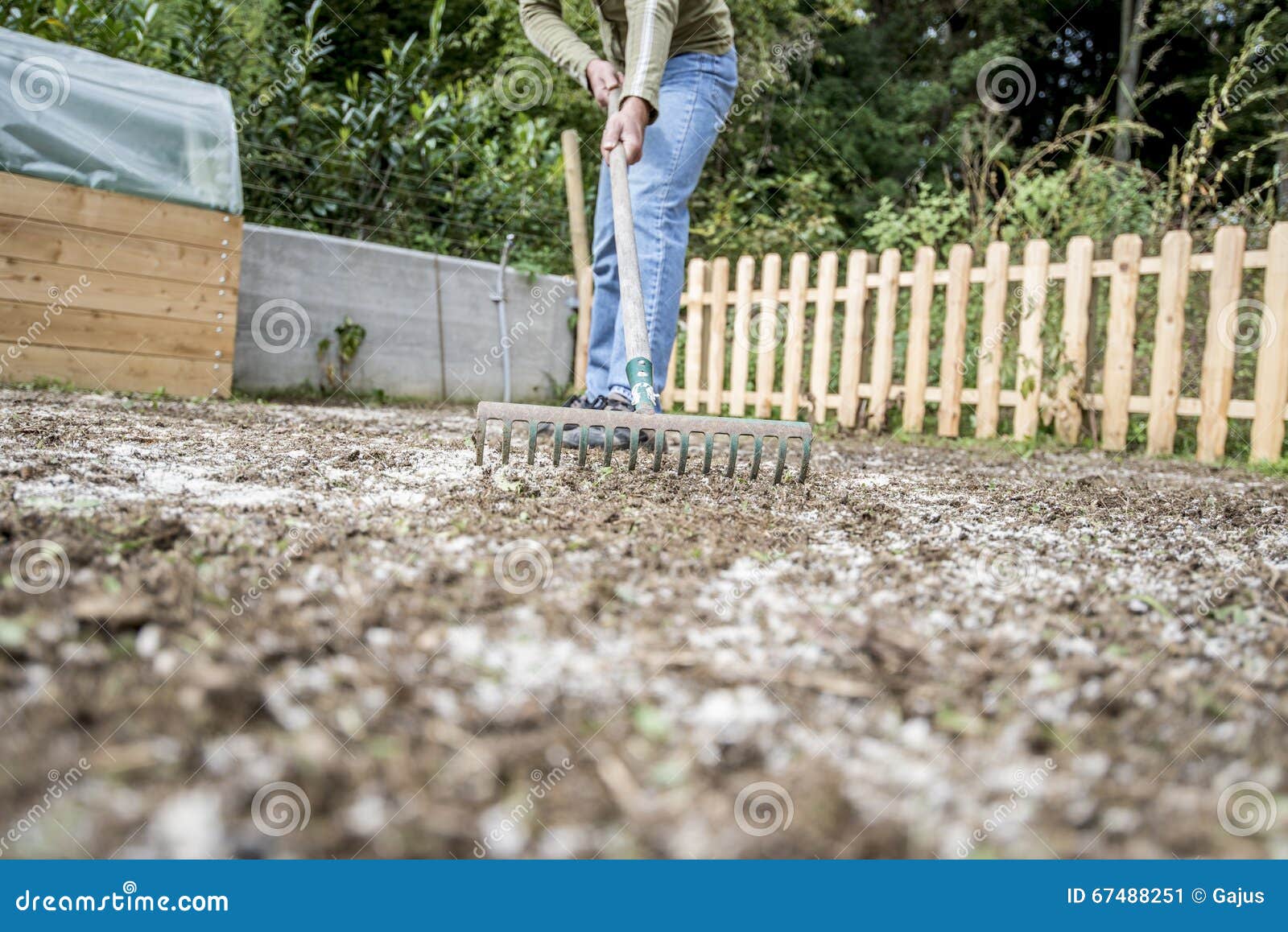 Man Doing Yard Work Raking the Ground Stock Image - Image of ploughing ...