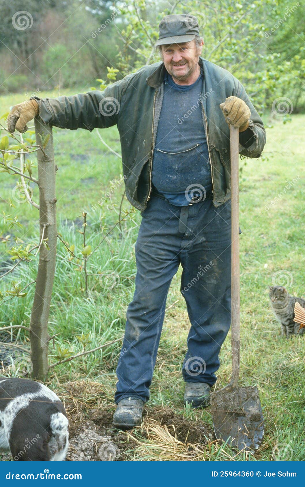 108 People Doing Yardwork Stock Photos - Free & Royalty-Free Stock ...