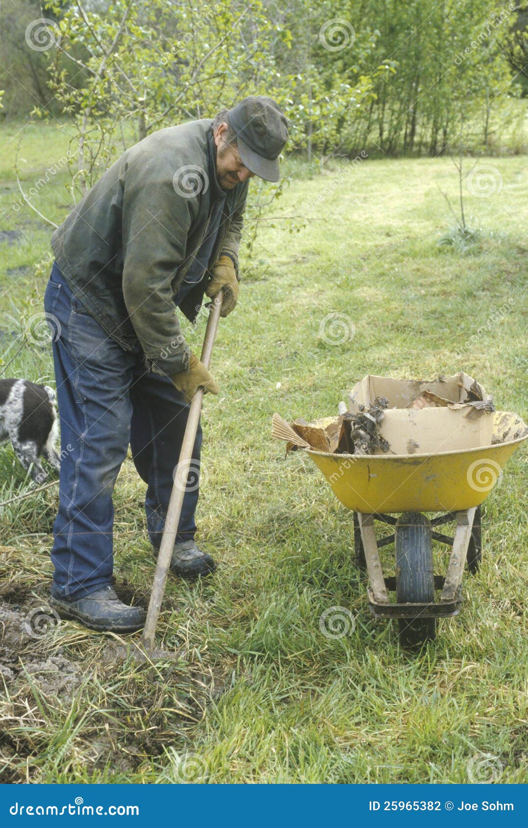 A man doing yardwork editorial photography. Image of work - 25965382