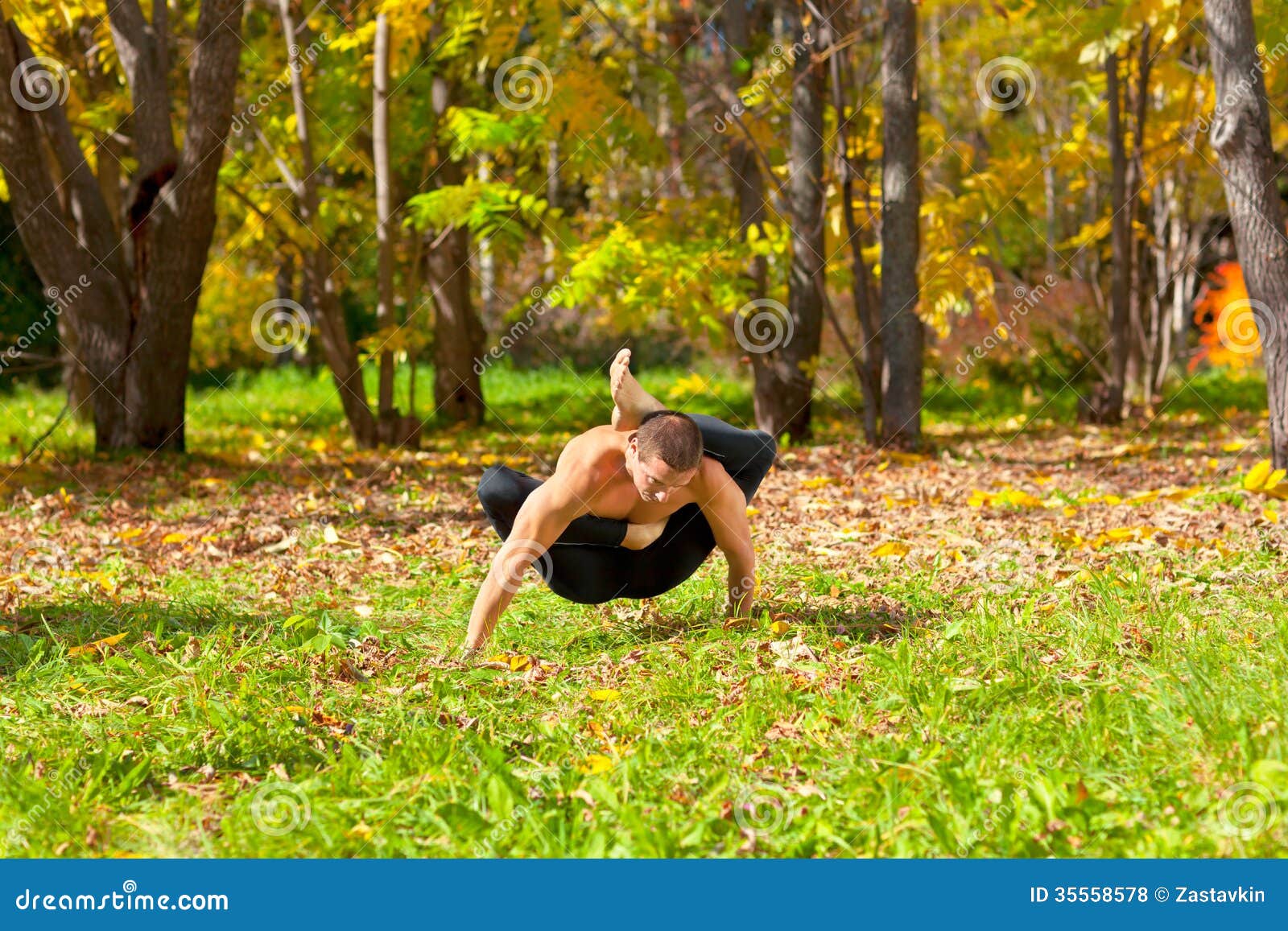 Man doing yoga in forest stock photo. Image of nature - 35558578