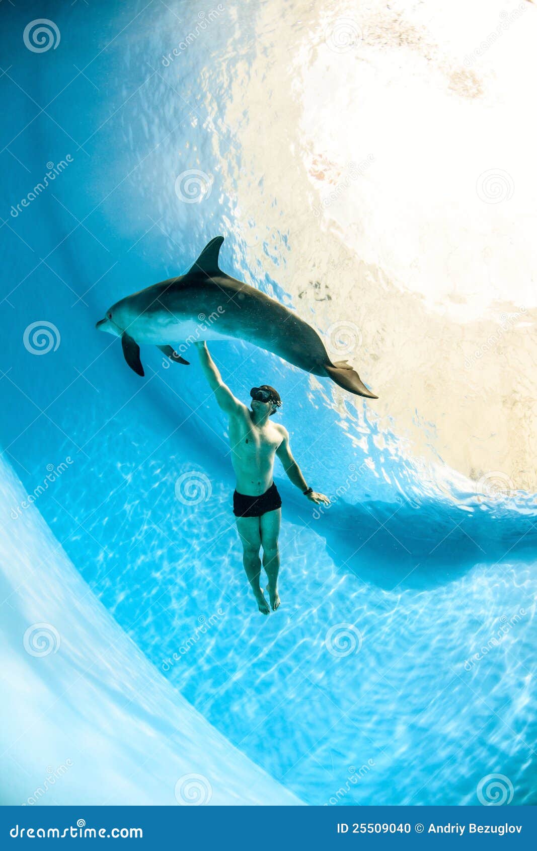 Man and dolphin stock photo. Image of blue, offspring - 25509040