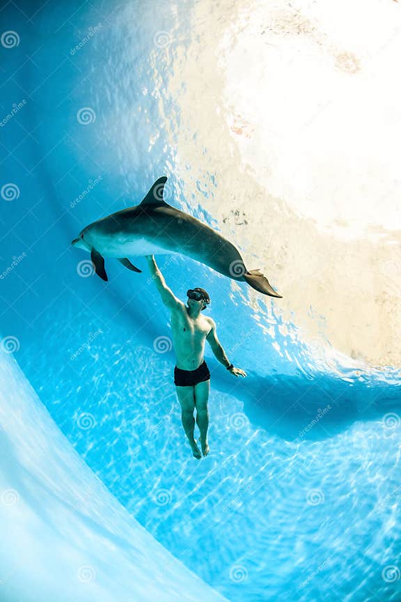 Man and dolphin stock photo. Image of blue, offspring - 25509040