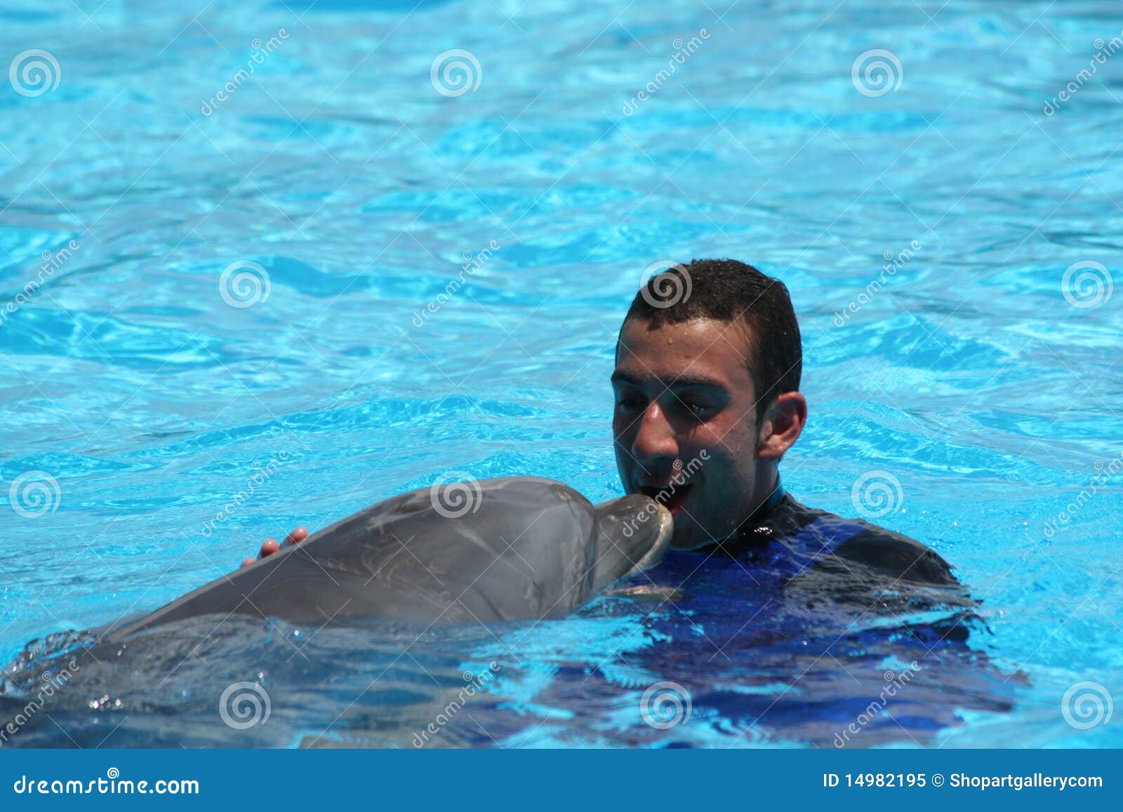 Man and Dolphin - EDITORIAL USE only Editorial Image - Image of life ...