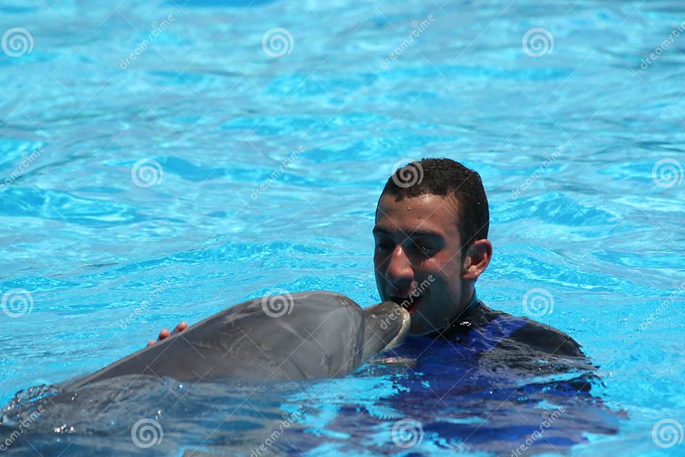 Man and Dolphin - EDITORIAL USE only Editorial Image - Image of life ...
