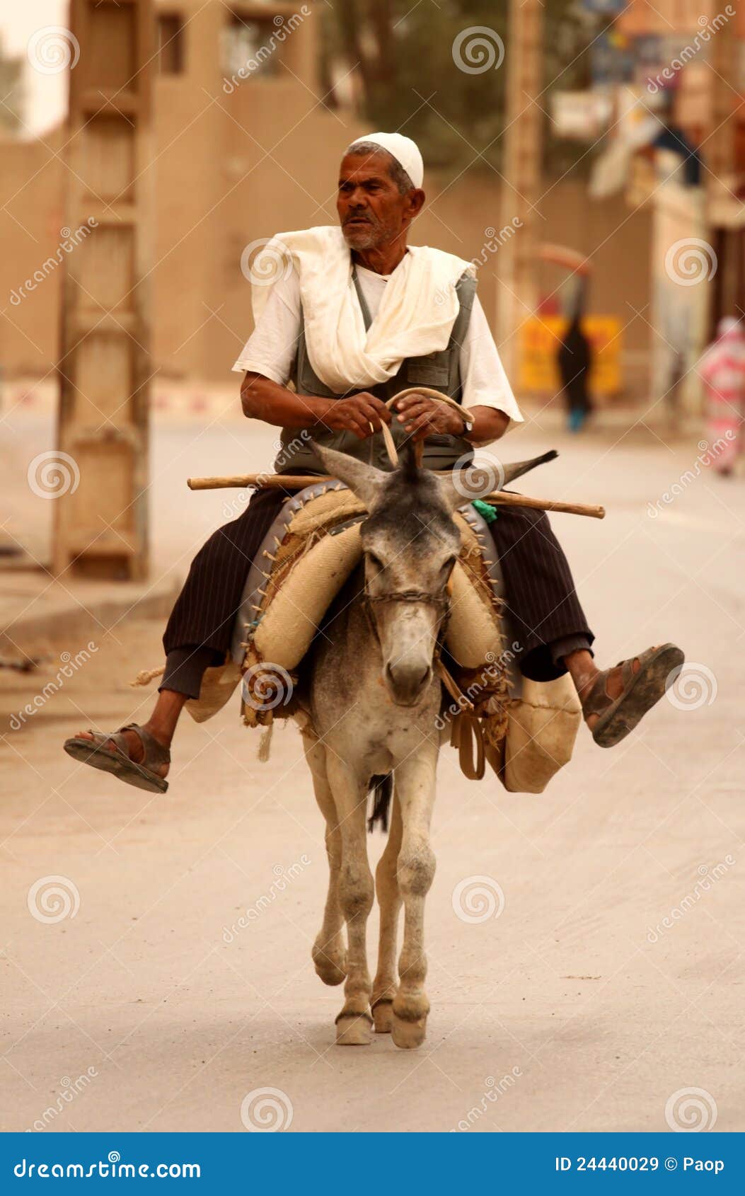 Man on a donkey editorial stock image. Image of morocco - 24440029