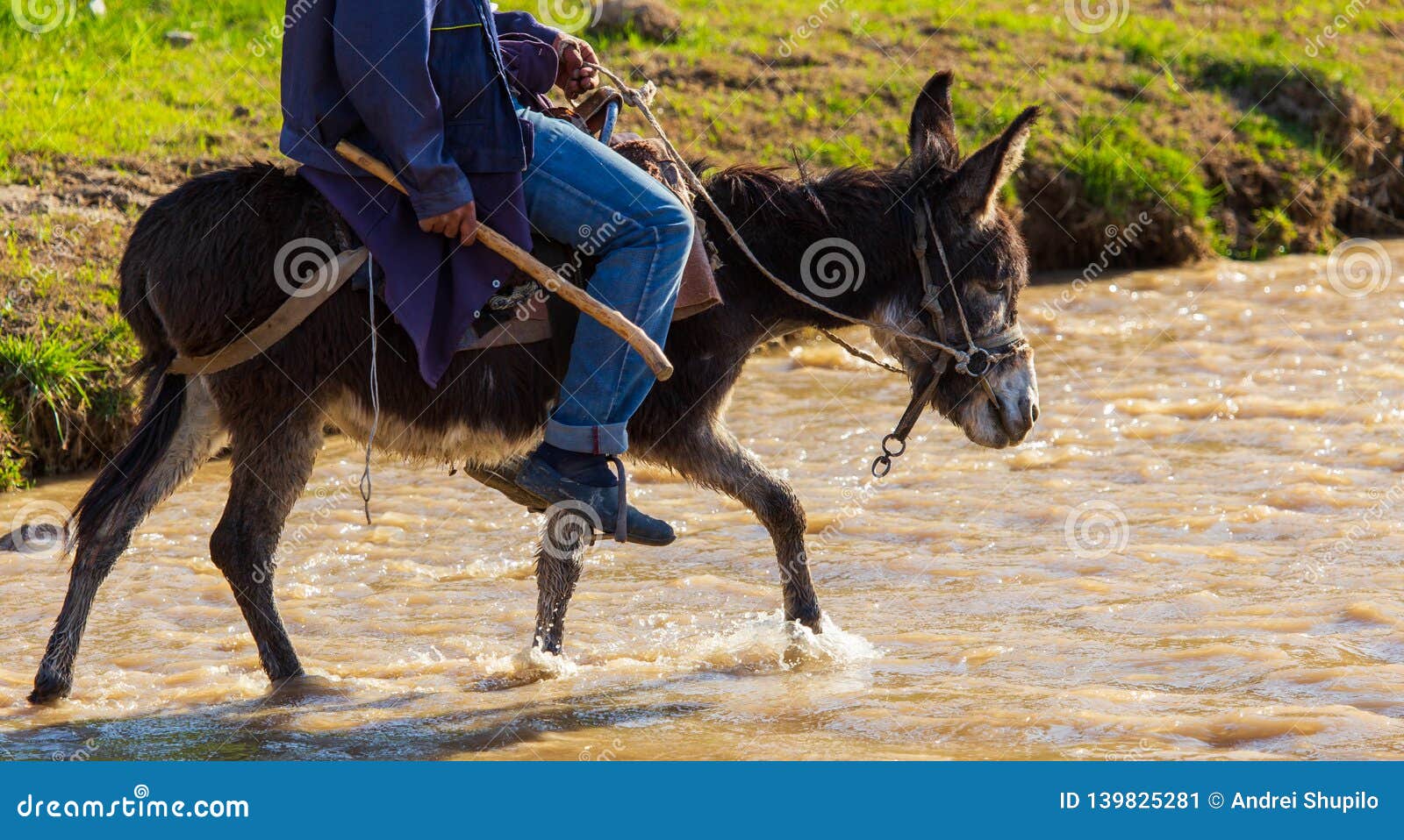 The Man on the Donkey Crossing the River Stock Image - Image of river ...