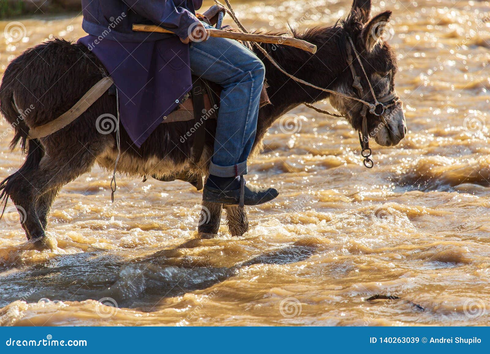 The Man on the Donkey Crossing the River Stock Image - Image of ...