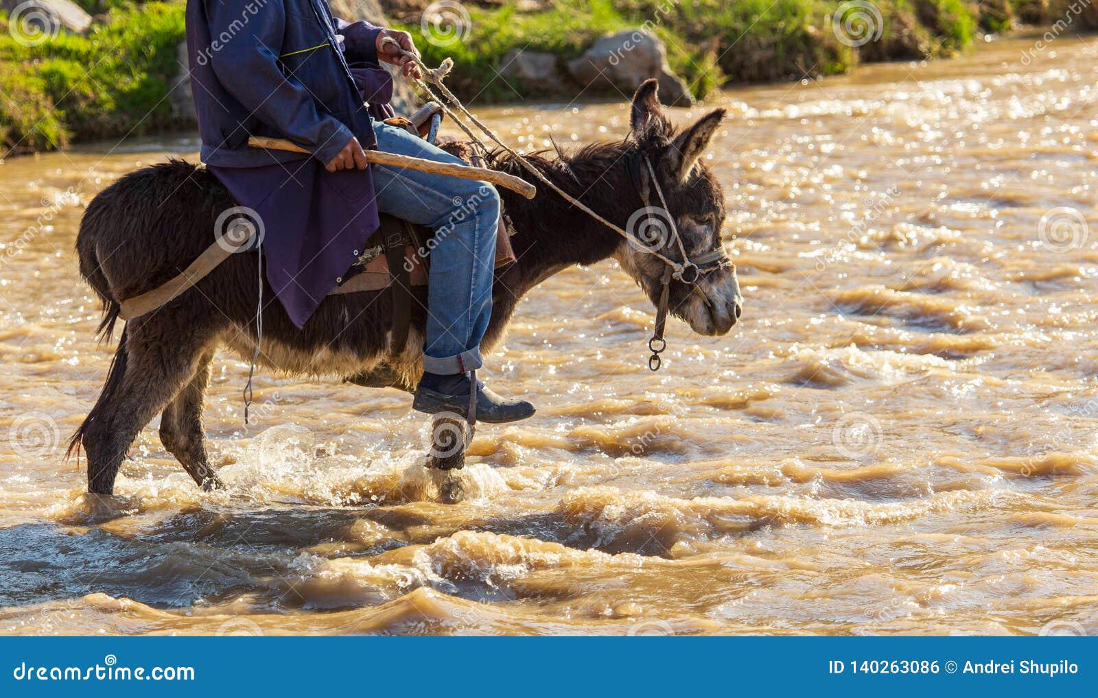 The Man on the Donkey Crossing the River Stock Photo - Image of ...