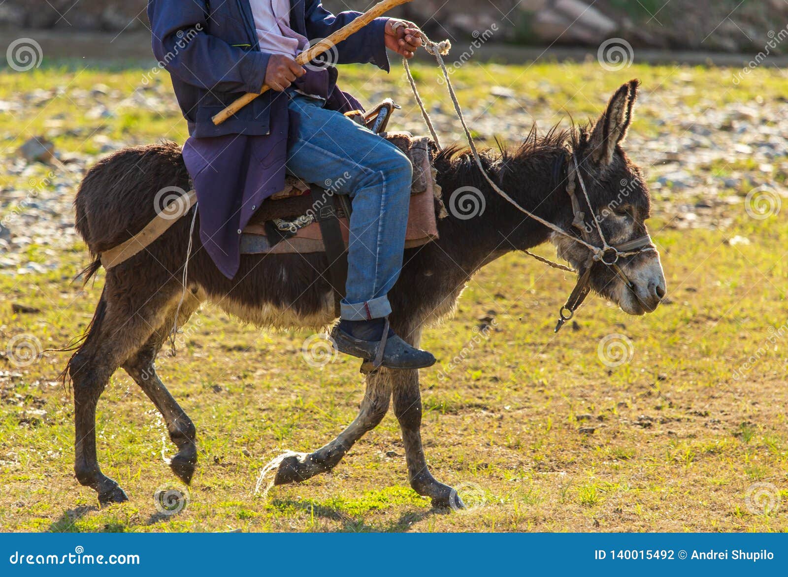 Man on Donkey in Spring Steppe Stock Photo - Image of spring ...
