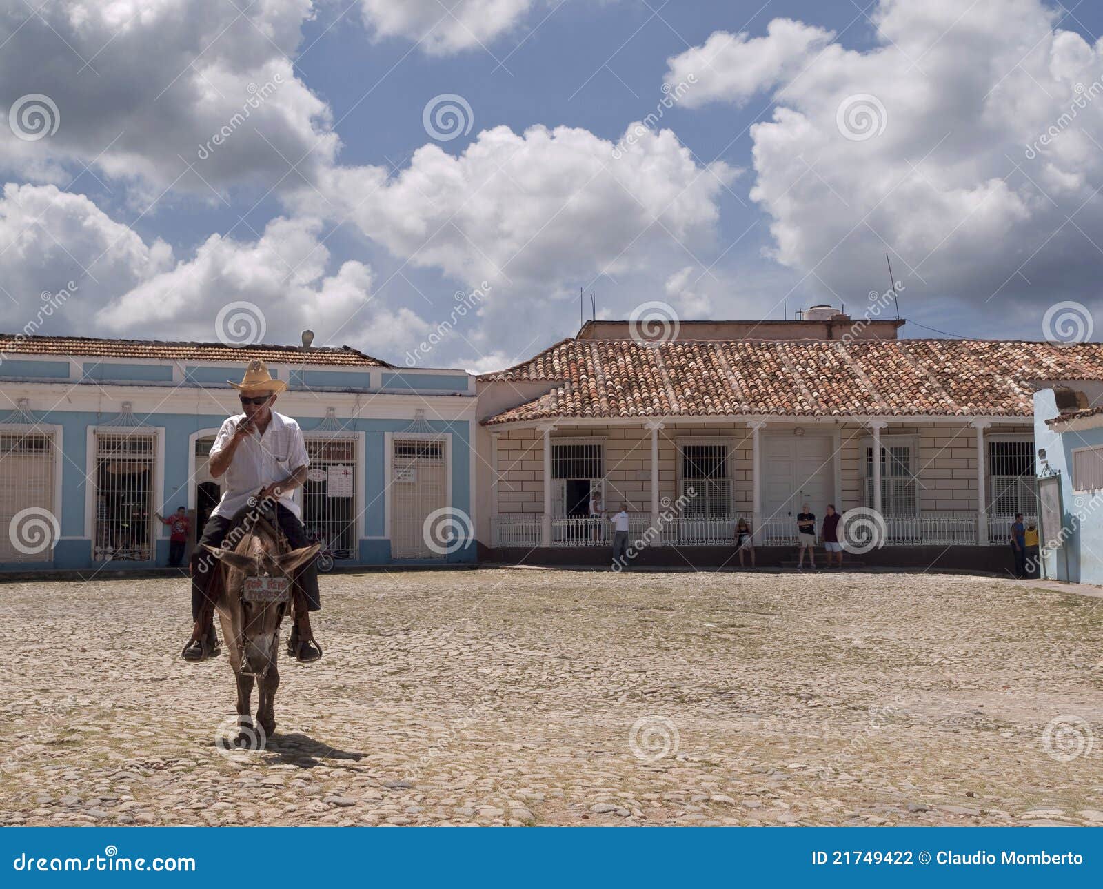 683 Donkey Square Stock Photos - Free & Royalty-Free Stock Photos from ...
