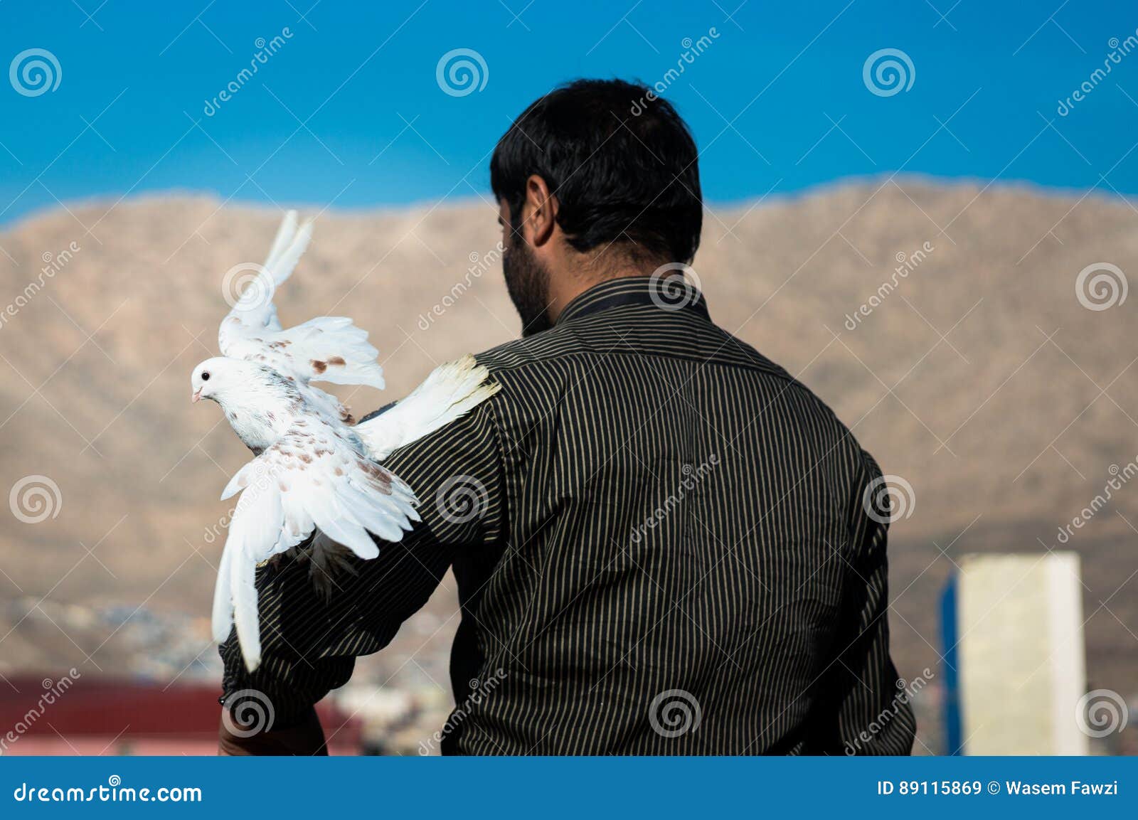 Man with a Dove Walking Away Stock Image - Image of mountain, outdoor ...