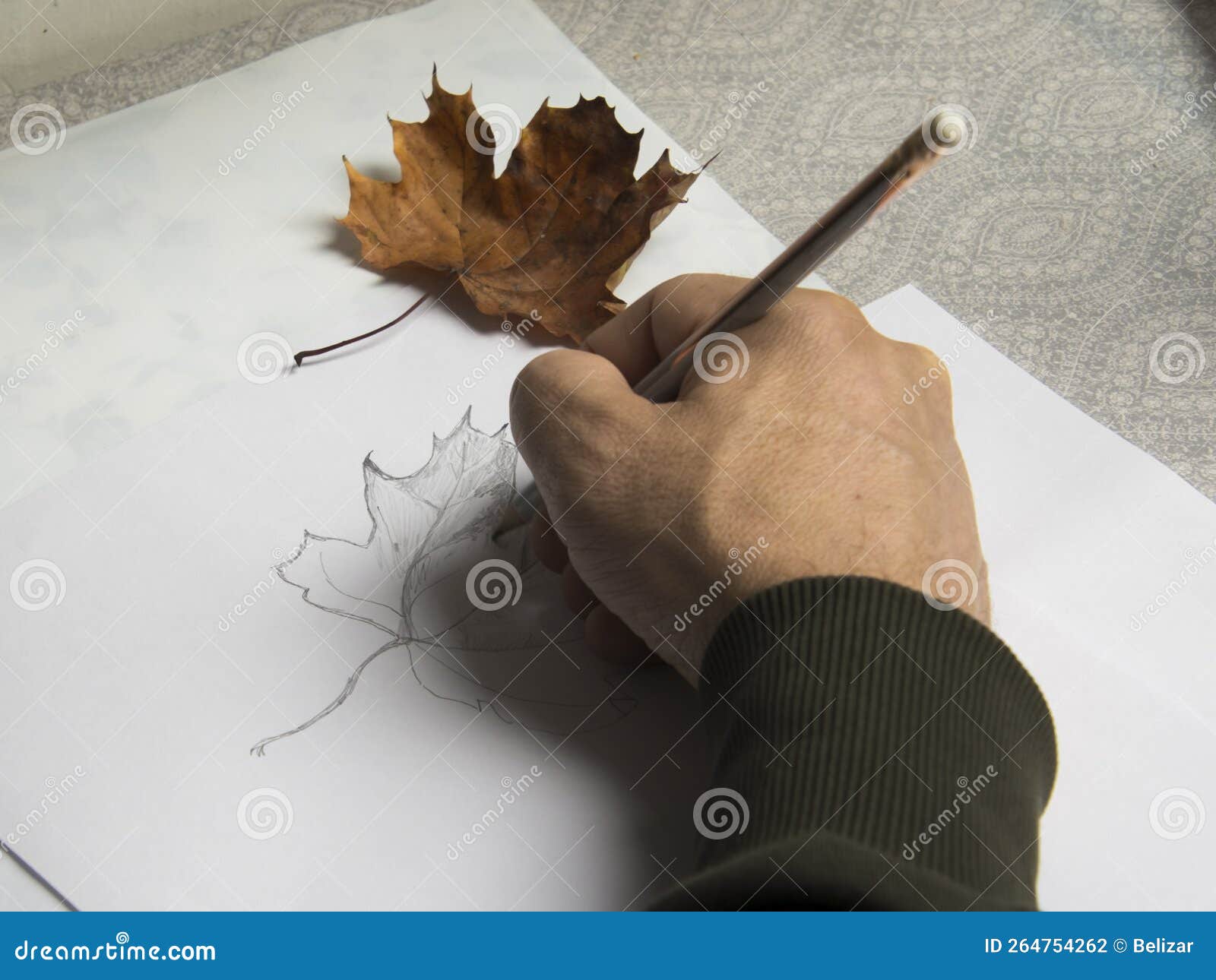 A Man is Drawing a Dry Yellow Leaf with Pencil Stock Photo - Image of ...